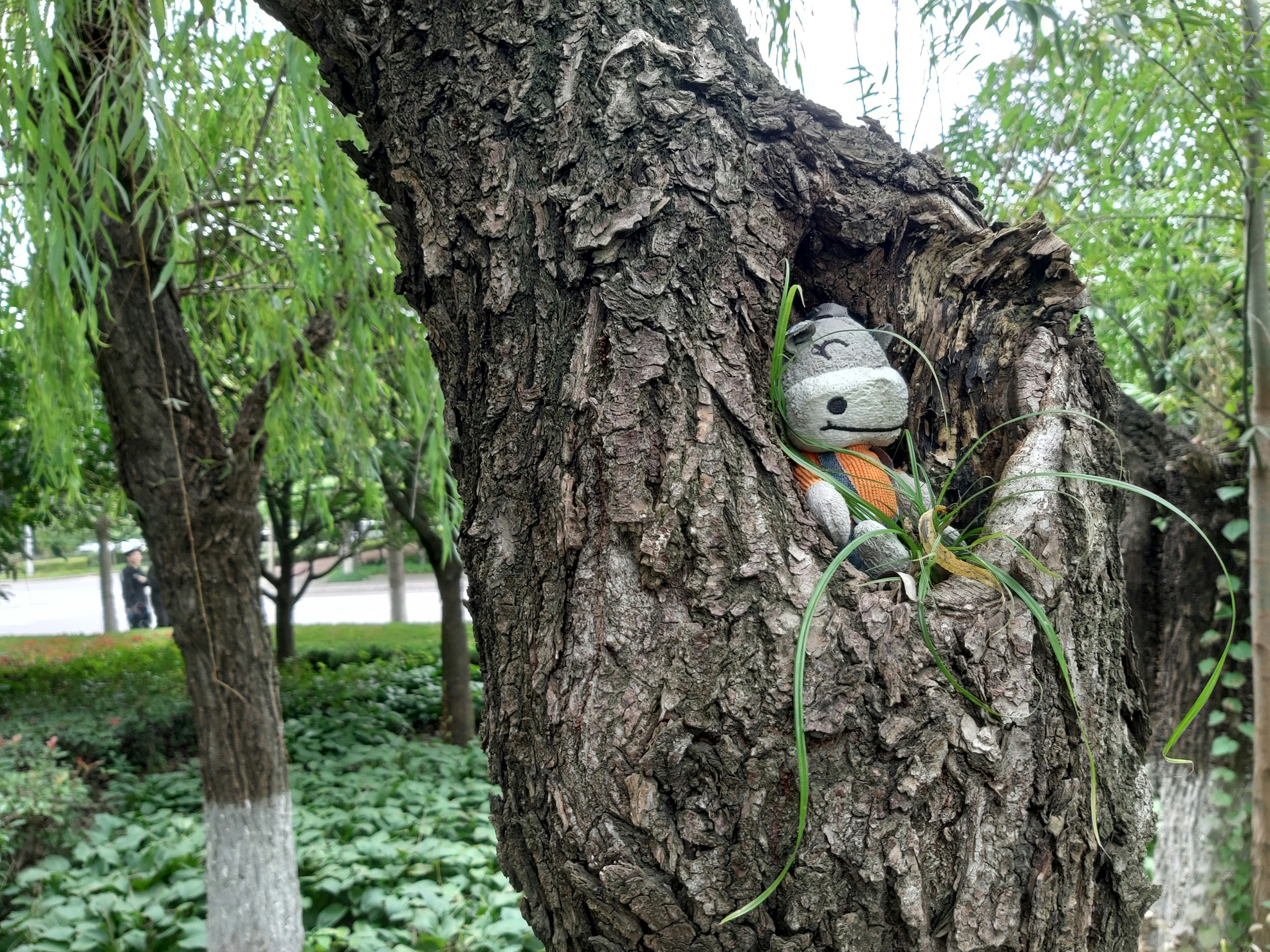 Whimsical Plush Peeking from a Tree Trunk