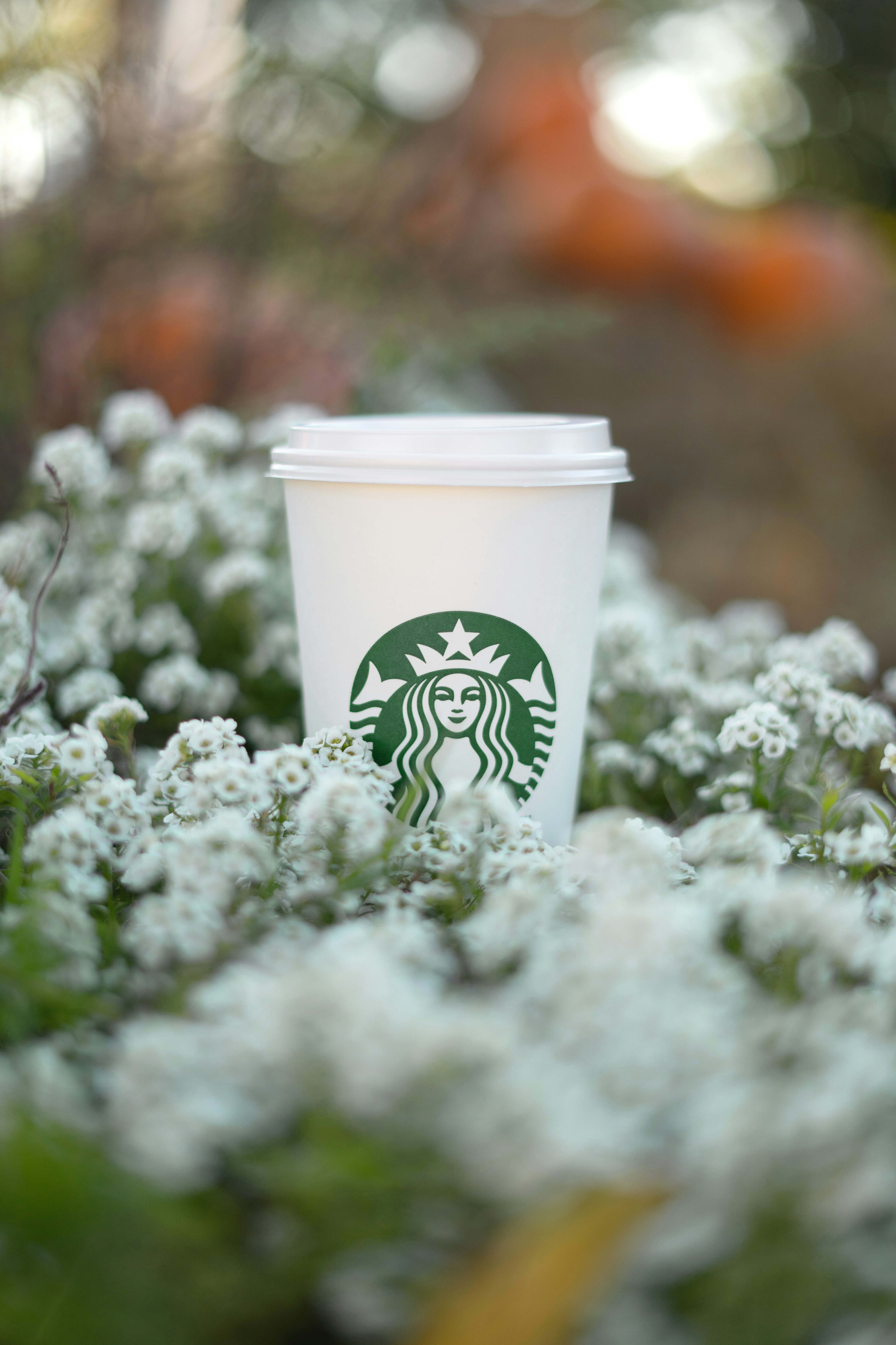 Starbucks Cup Emerges from a Sea of White Blooms