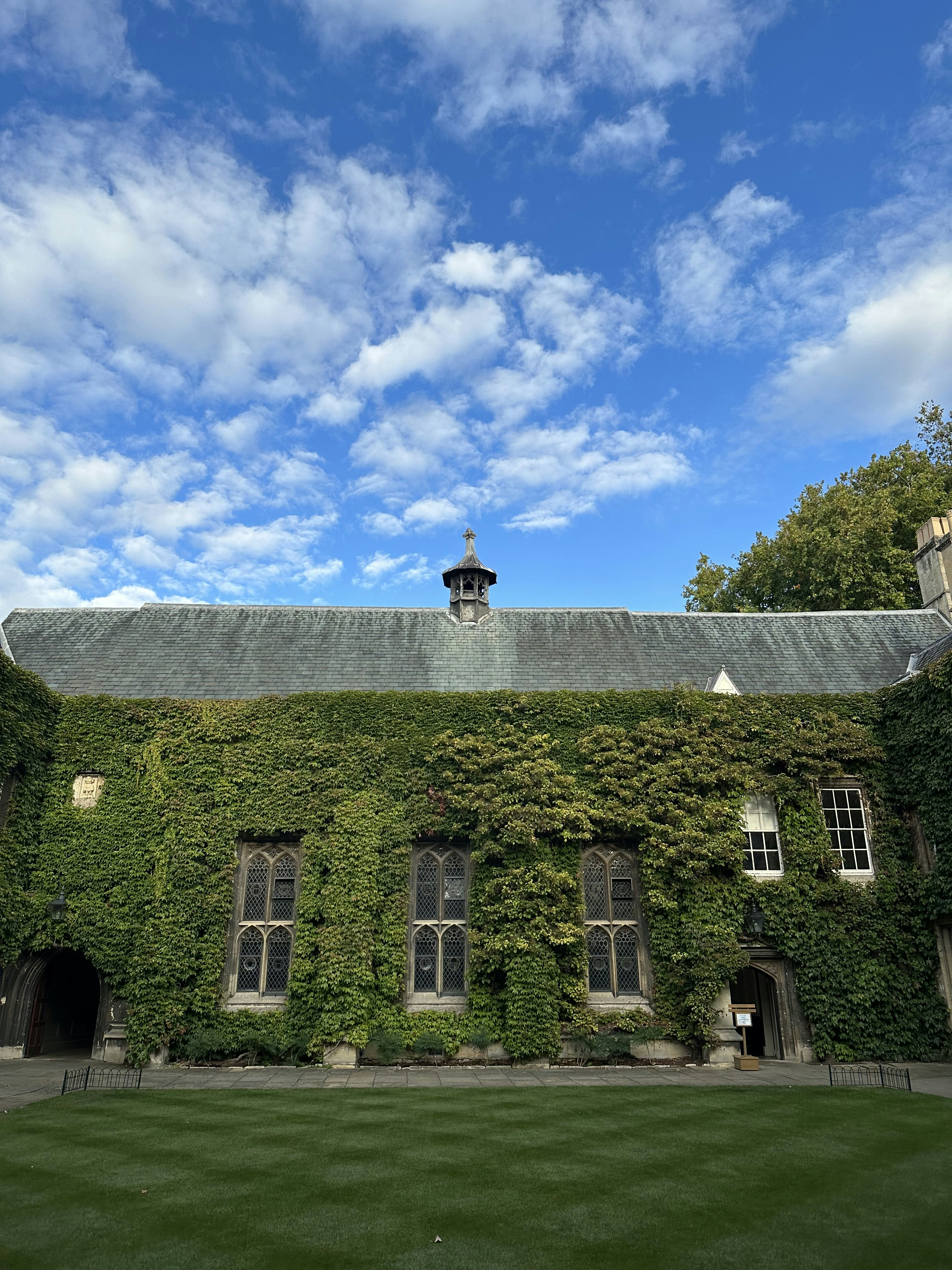 Ivy-Wrapped Facade Under a Cerulean Sky, Crowned by a Central Cupola