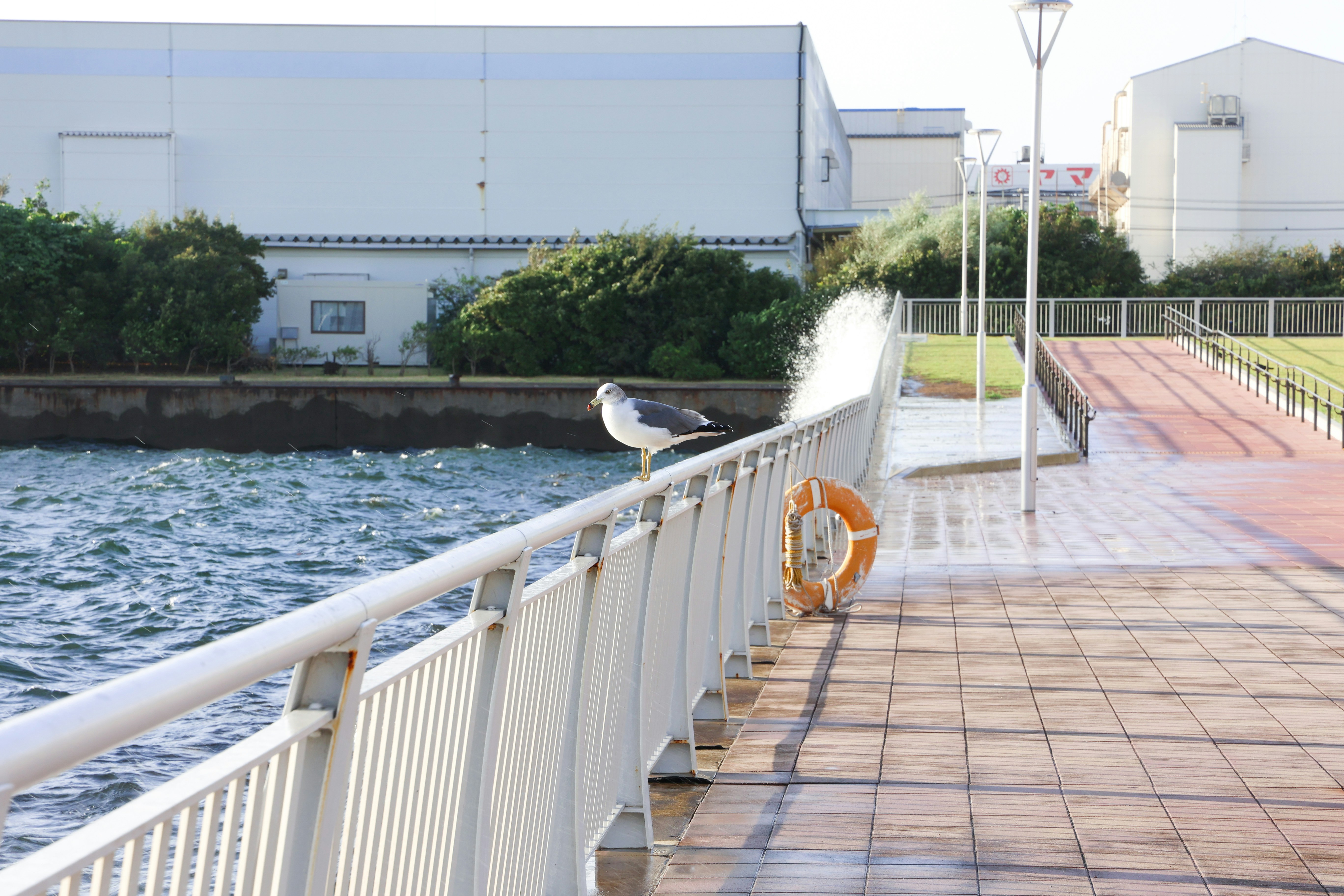 Seagull on a Sunlit Railing by the Quiet Harbor