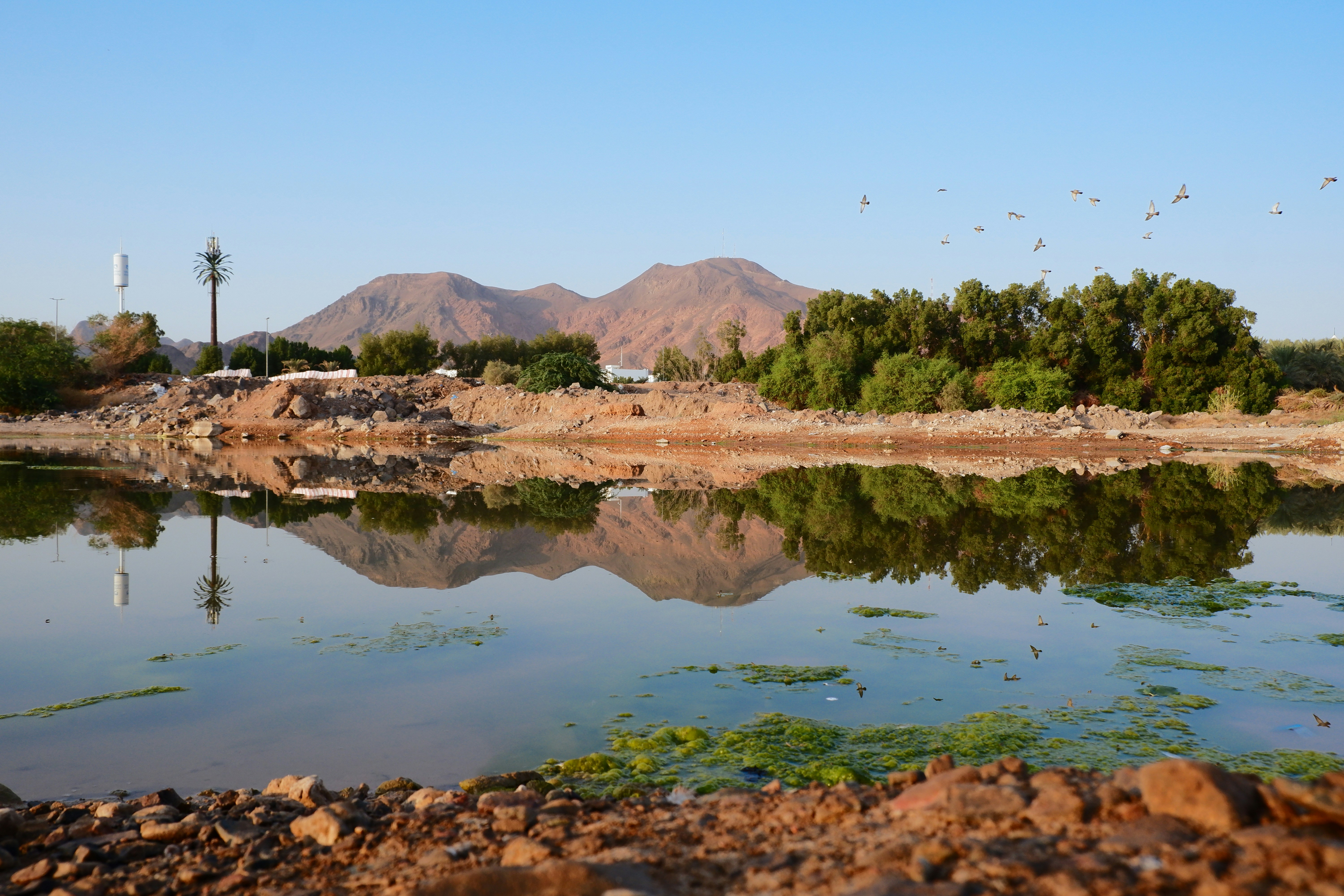 Mirrorline Oasis: Desert Lake Reflects Rugged Hills Under a Clear Sky