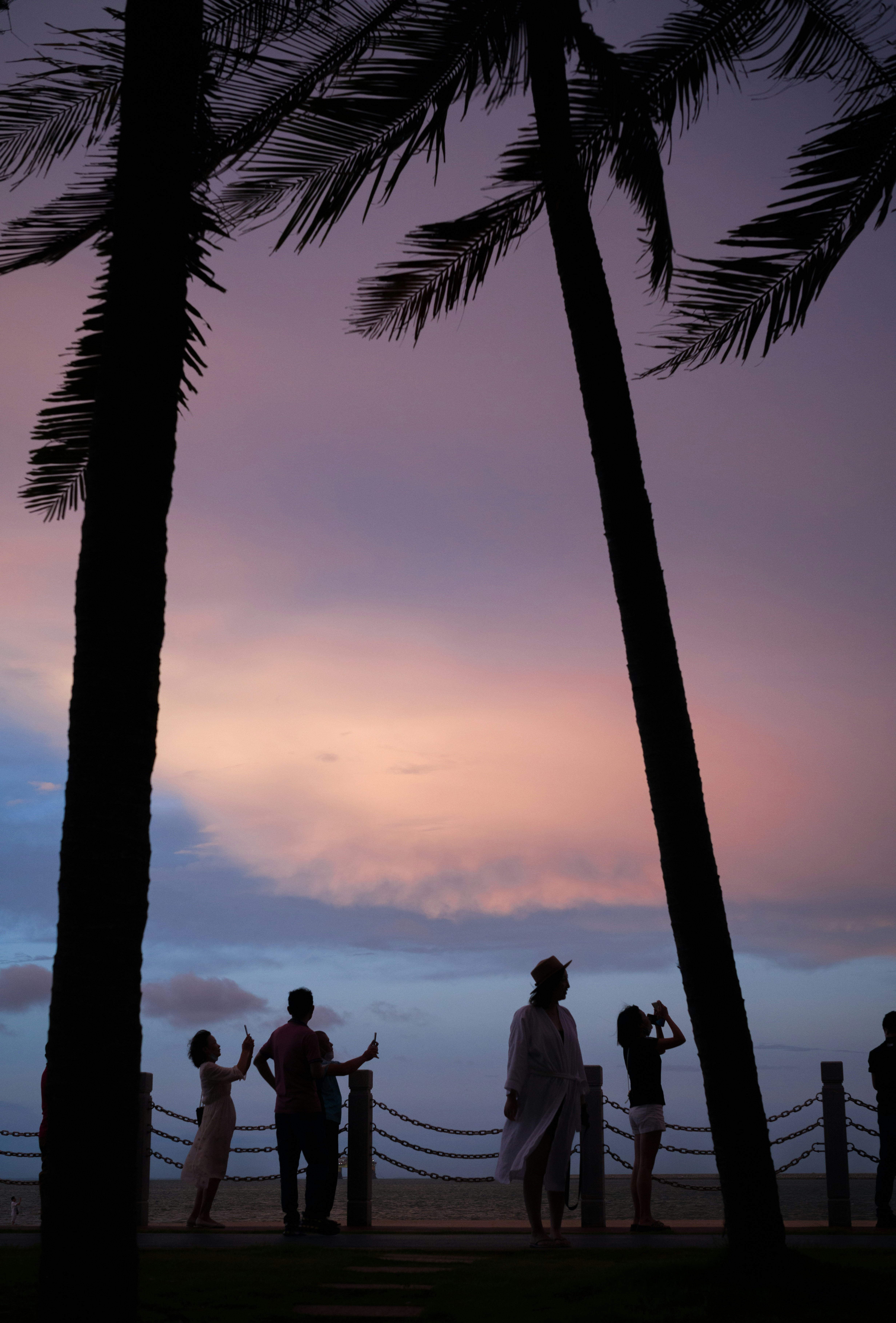 Silhouetted figures enjoying a sunset by the beach, framed by palm trees and a colorful sky.