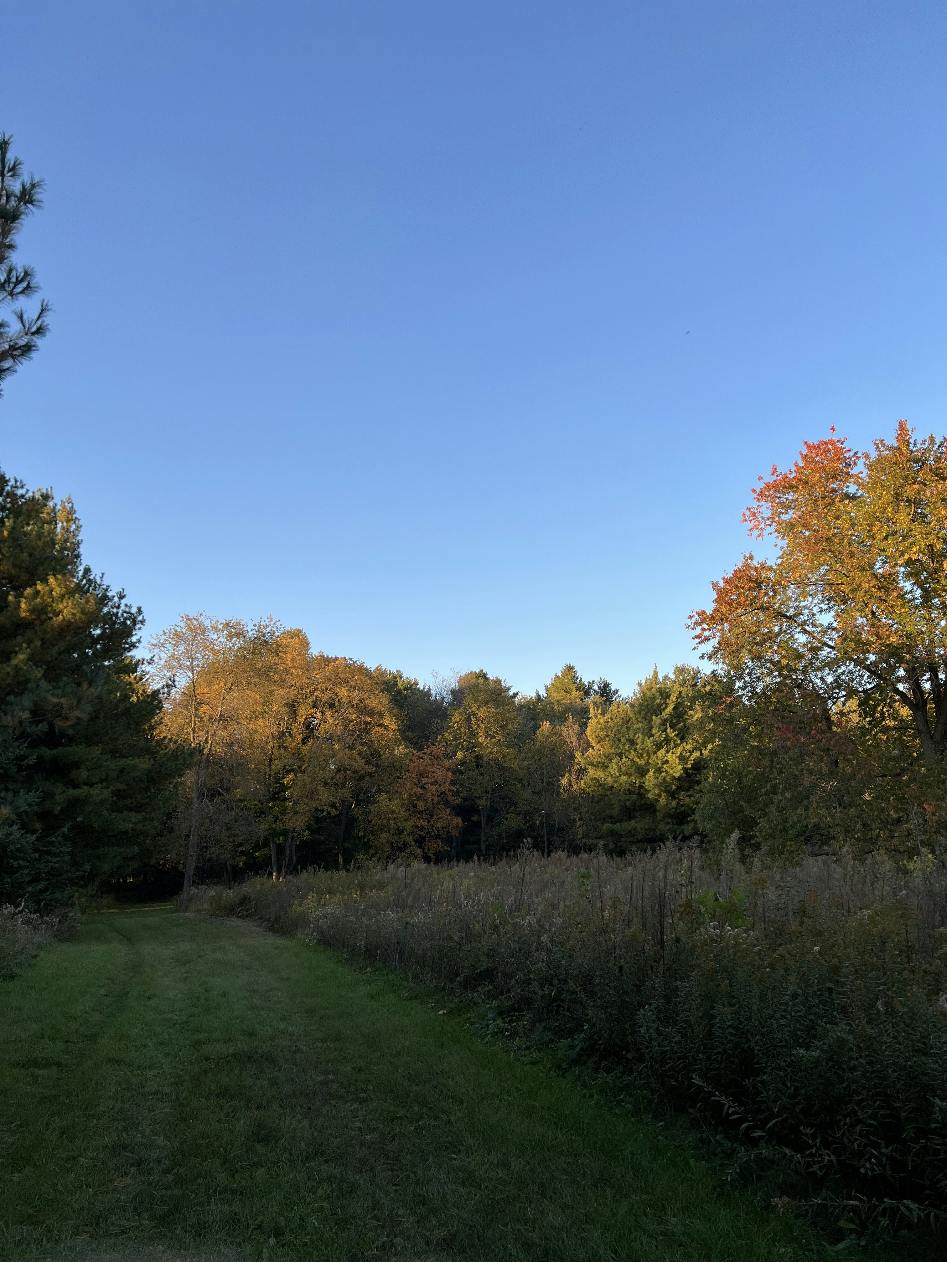 Photo by liam matthews with Apple iPhone 13 Pro Max