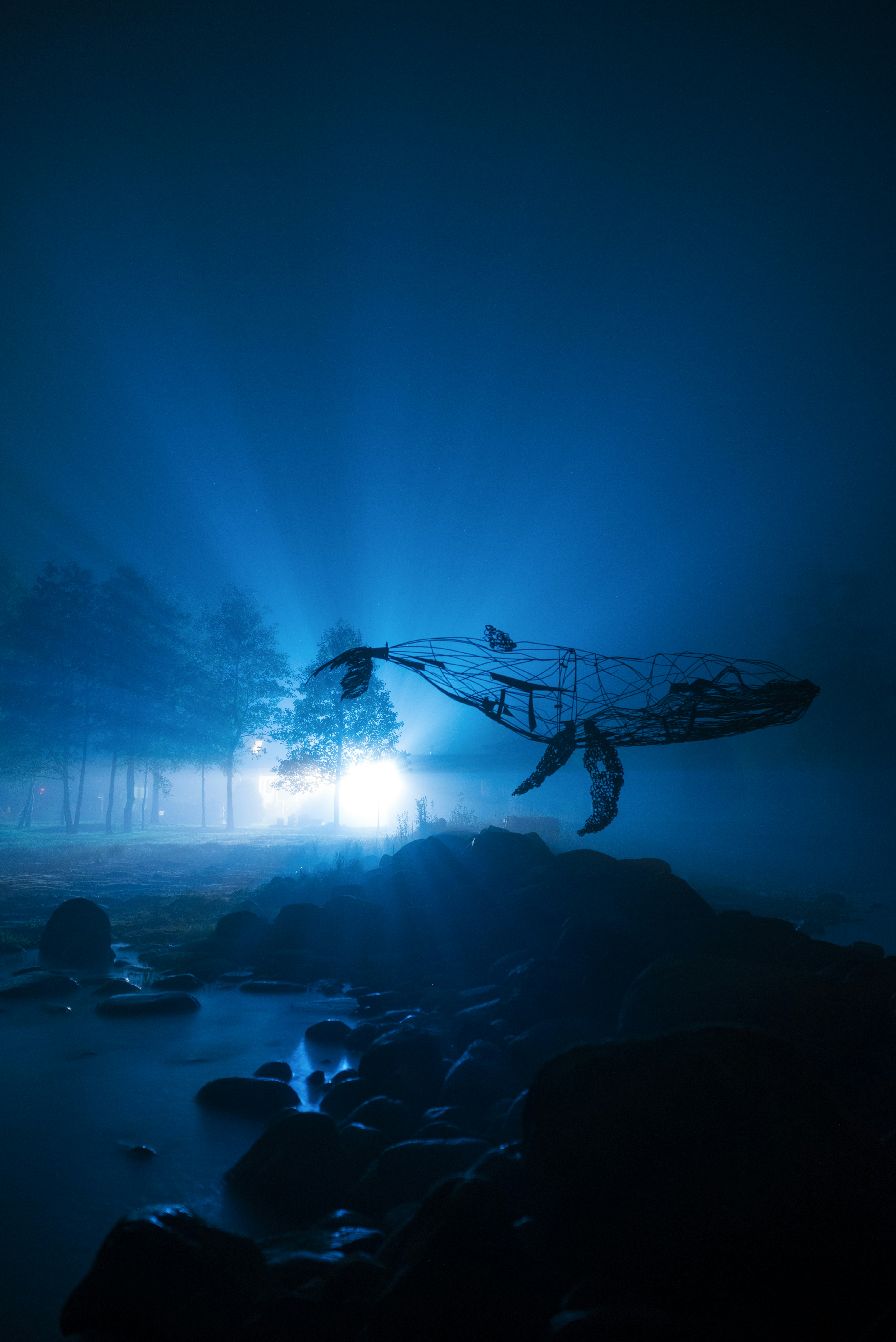 Cobalt Leviathan over a Misty Shore