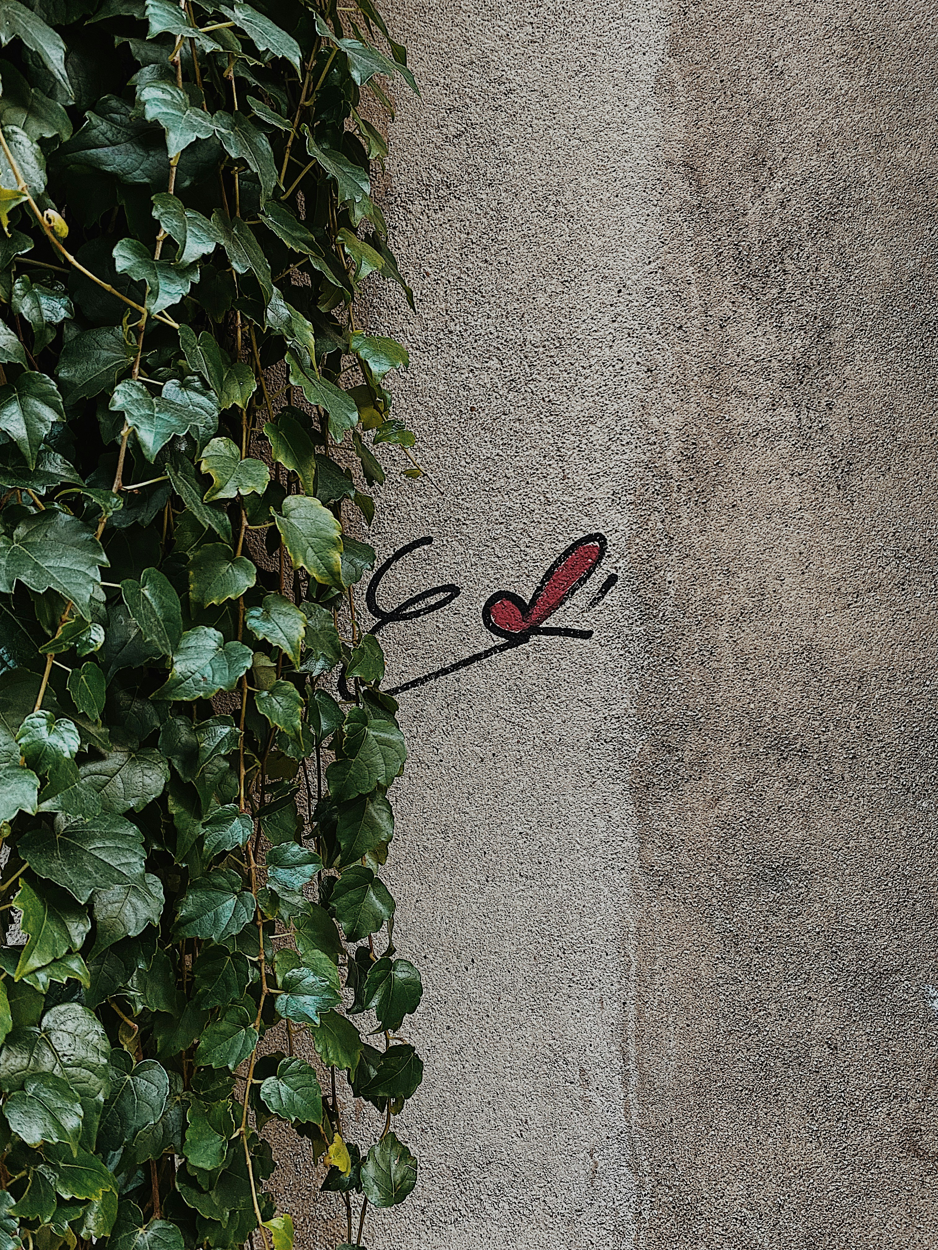 a pair of glasses on the ground