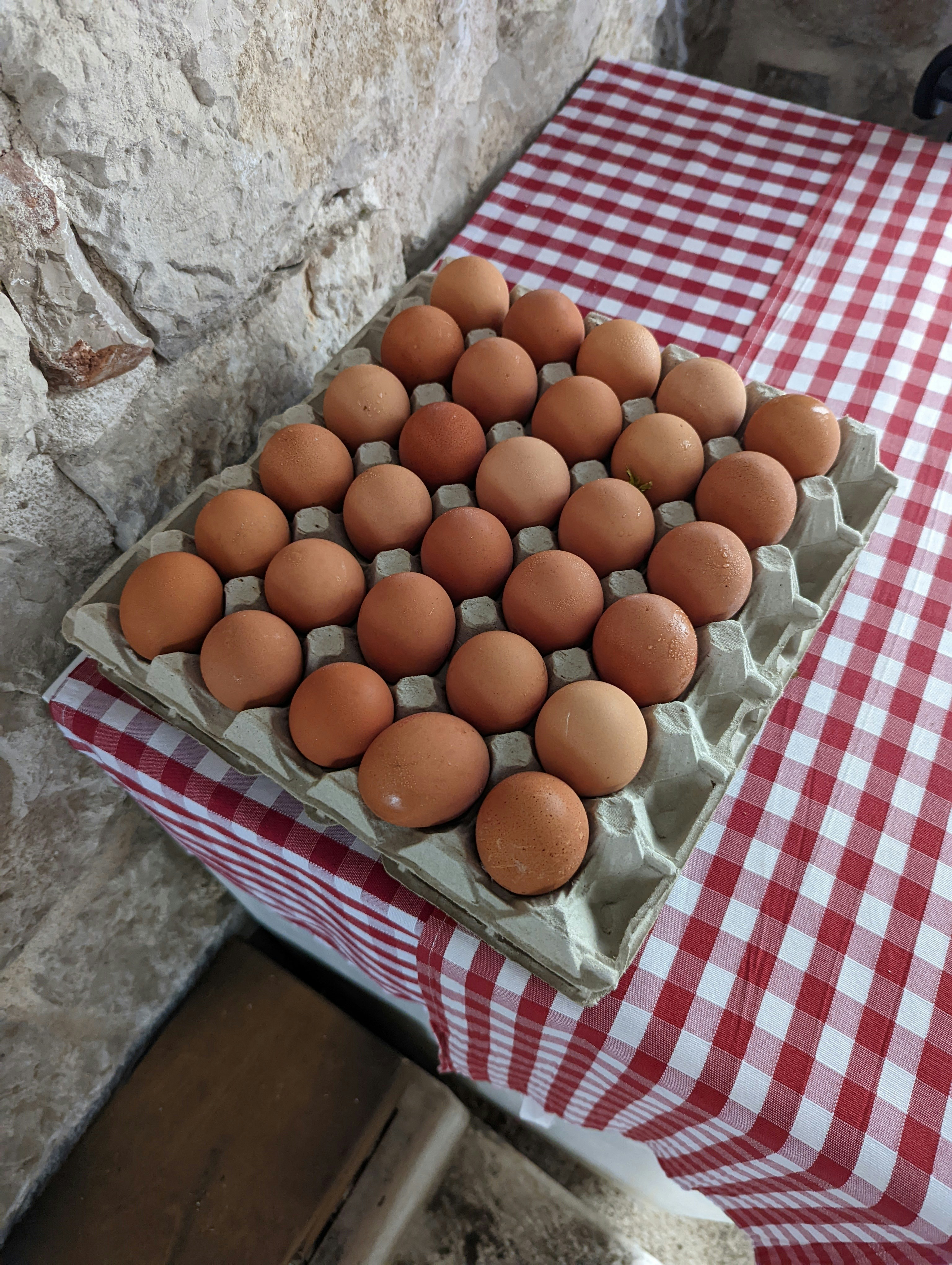 A neatly arranged tray of brown eggs on a checkered tablecloth, showcasing the simplicity and beauty of farm-fresh produce.