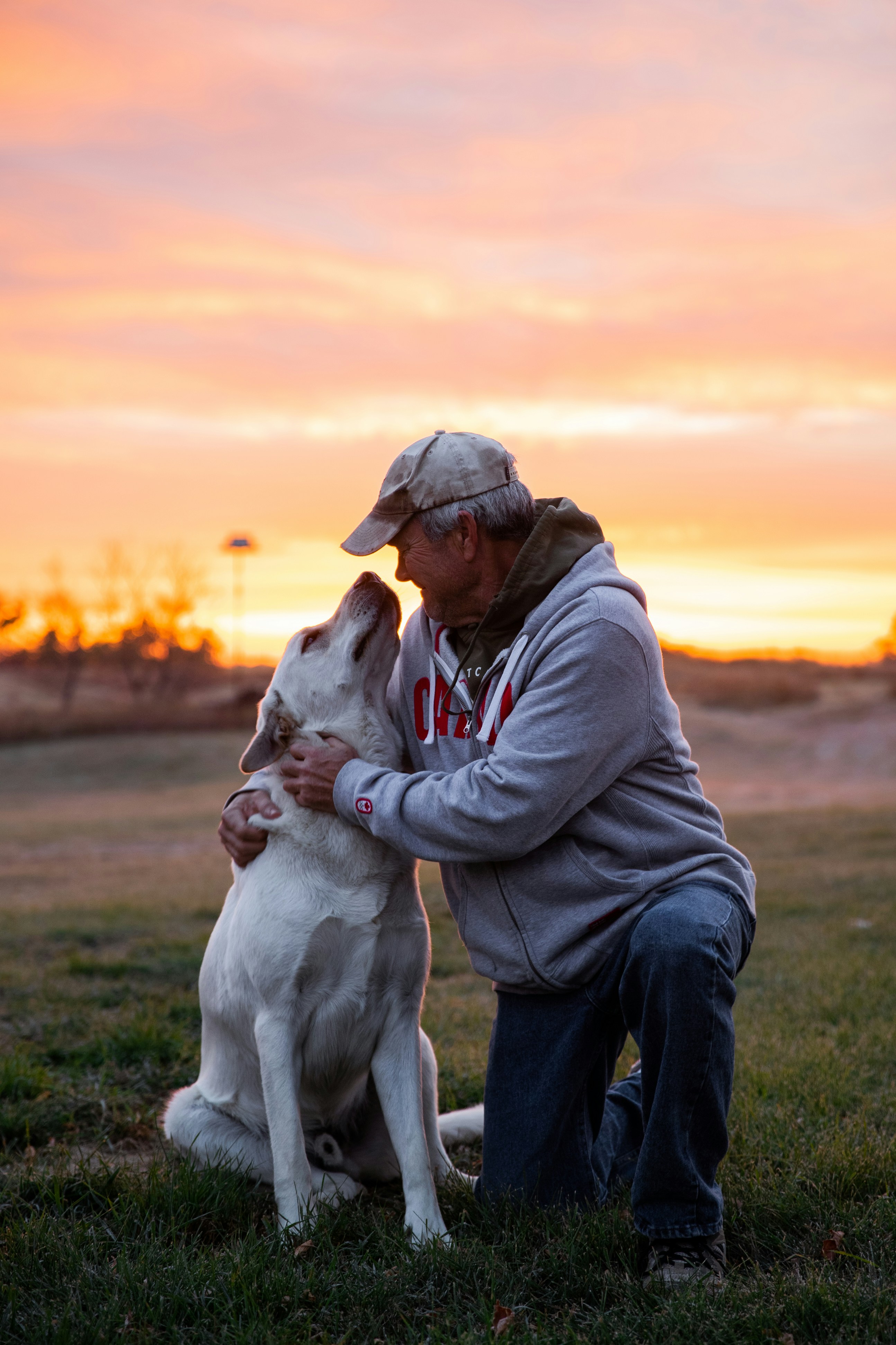 Dusk Embrace: A Man Kneels to Kiss His Dog in Golden Sunset