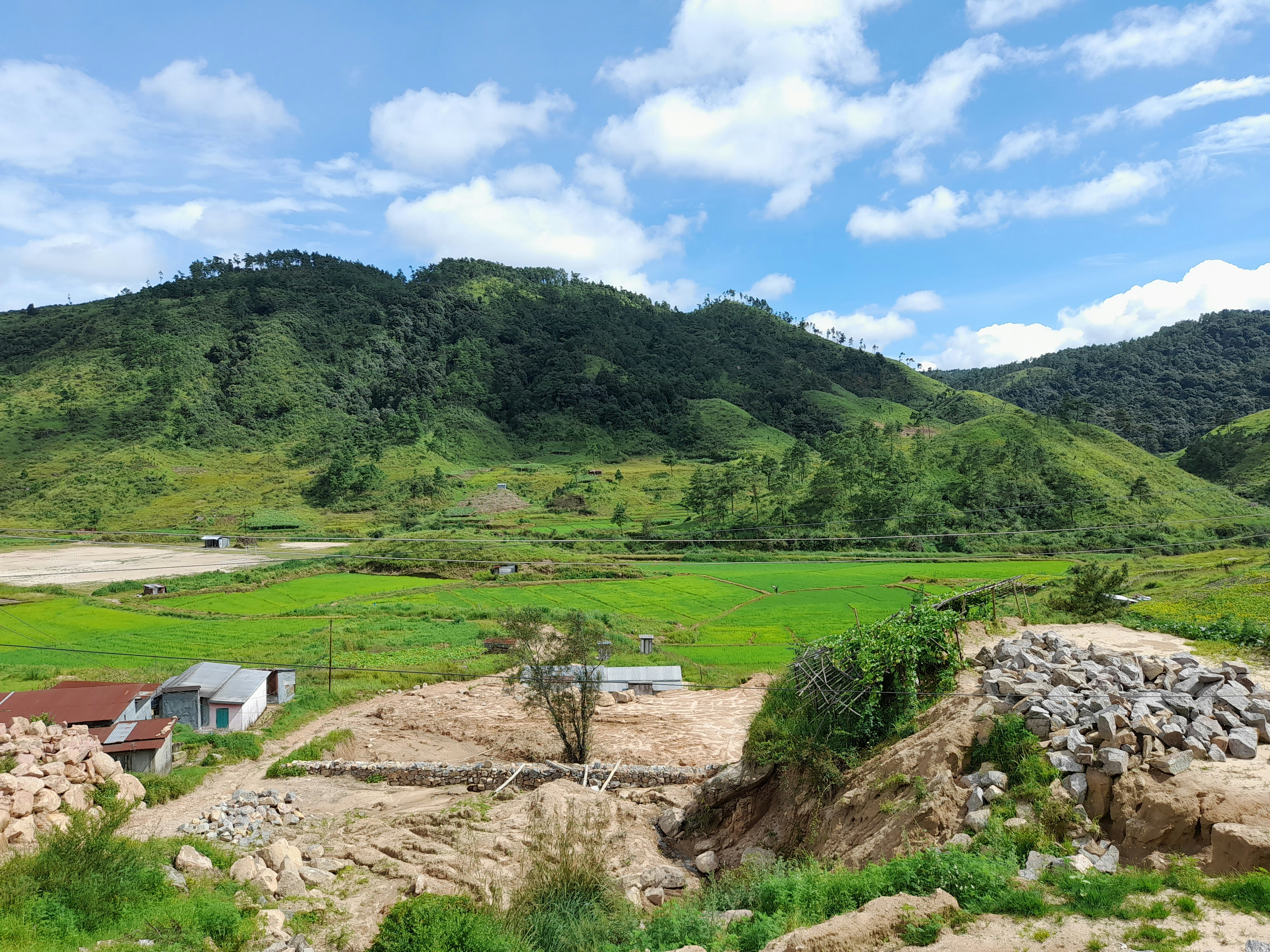 a landscape with trees and houses
