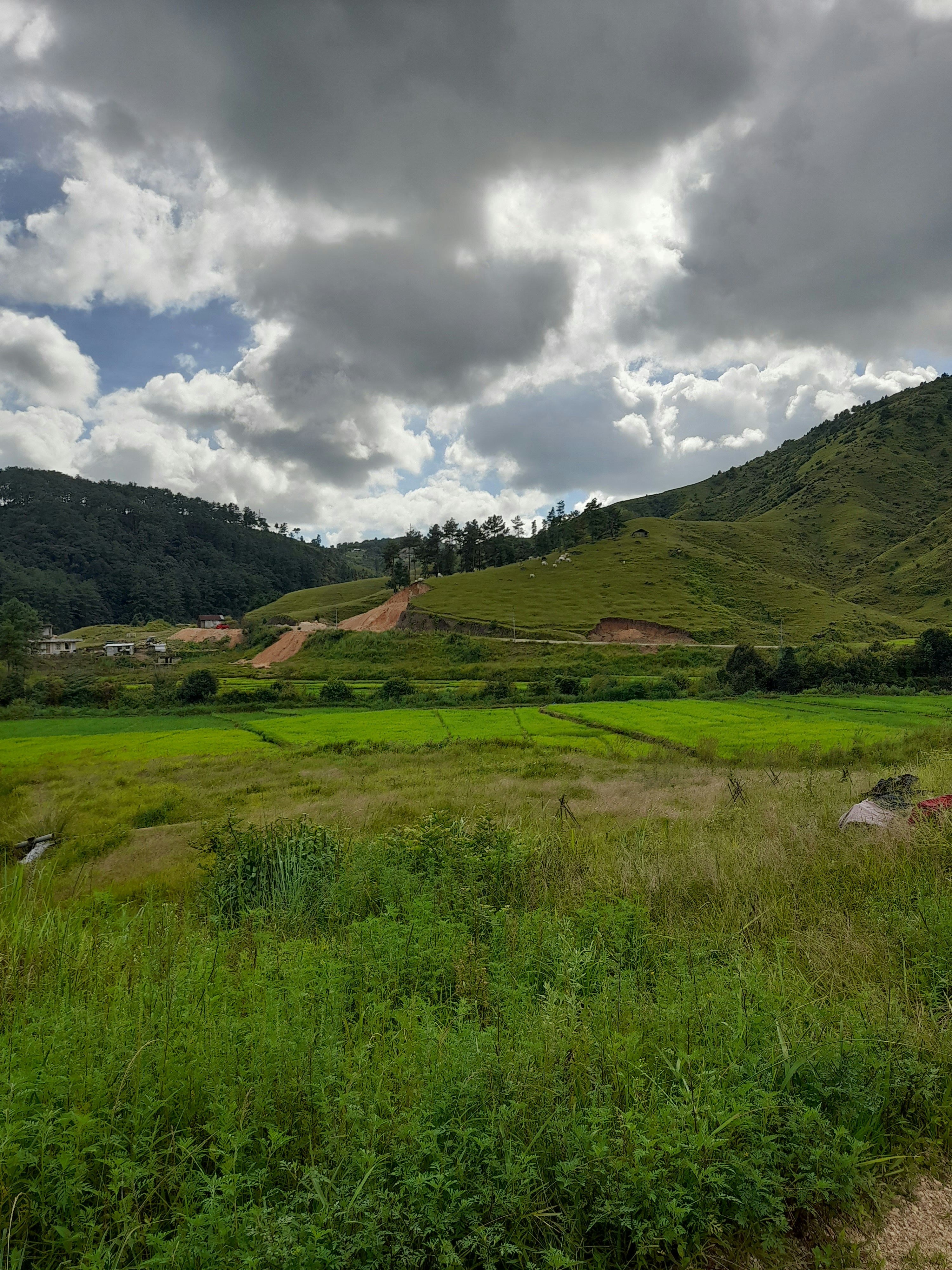 Emerald Valleys and a Winding Road Beneath Brooding Clouds