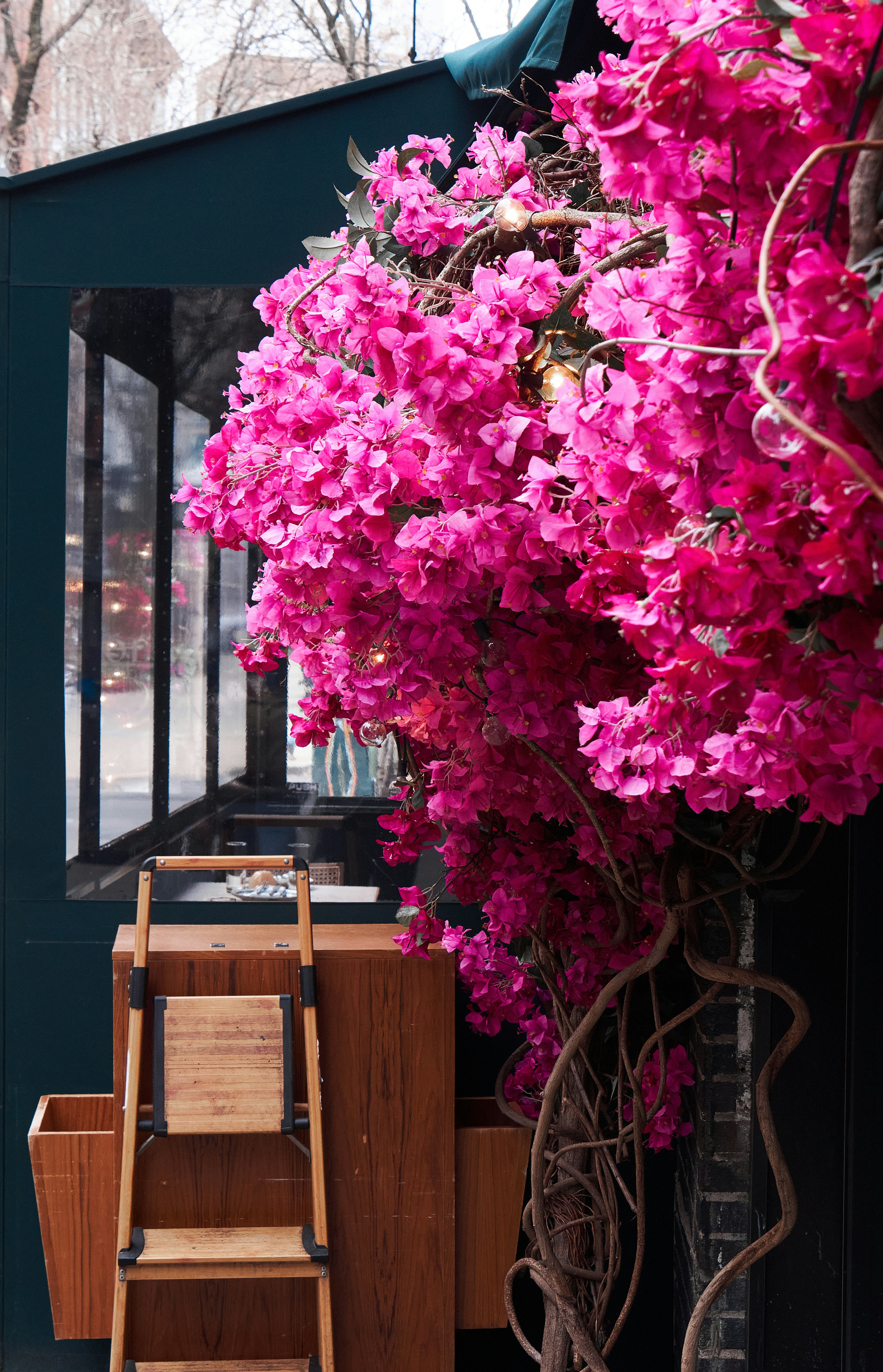 Pink Cafe Pictures | Download Free Images on Unsplash
