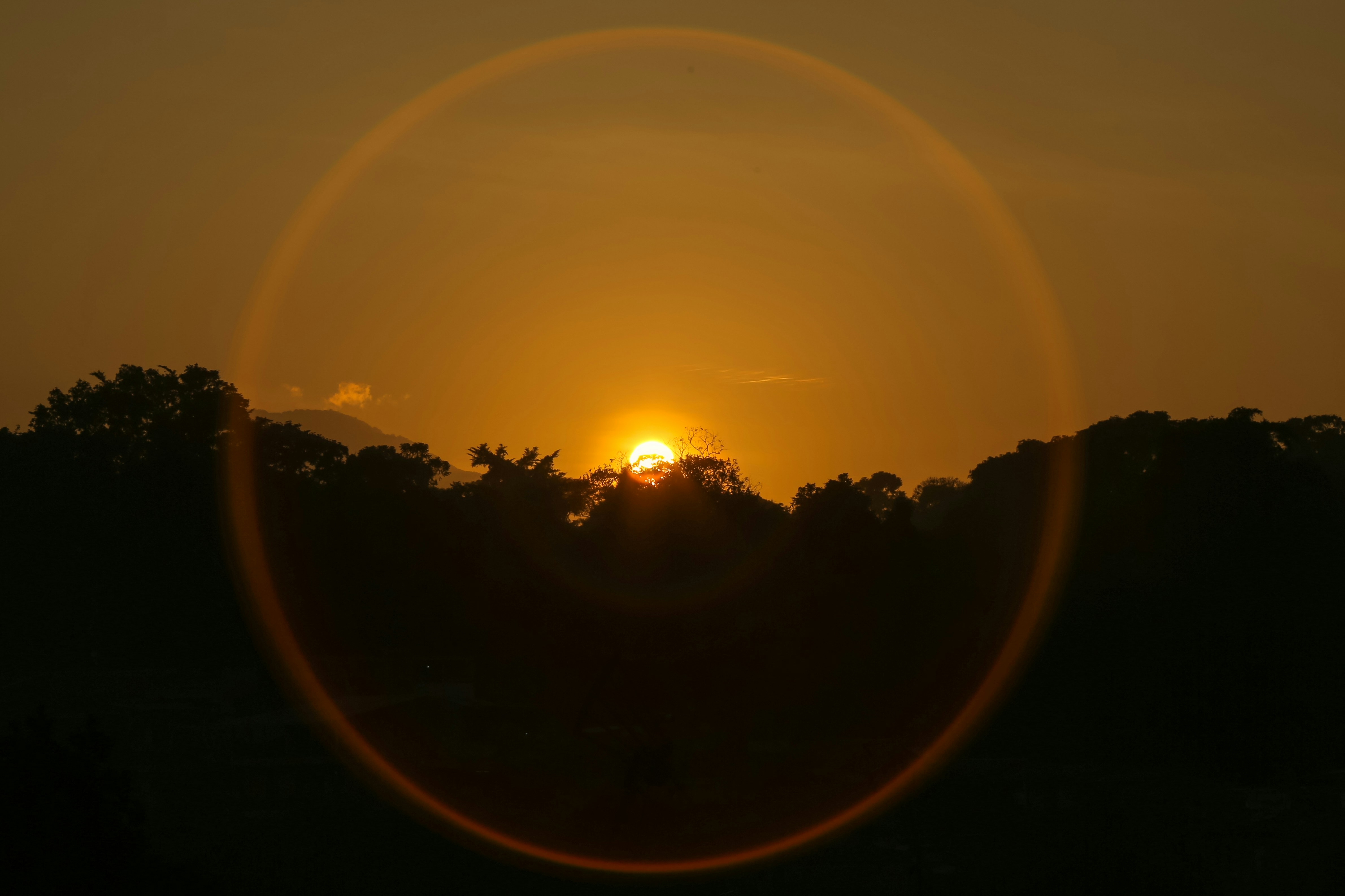 A sunset over a forest photo – Free Morning sun Image on Unsplash