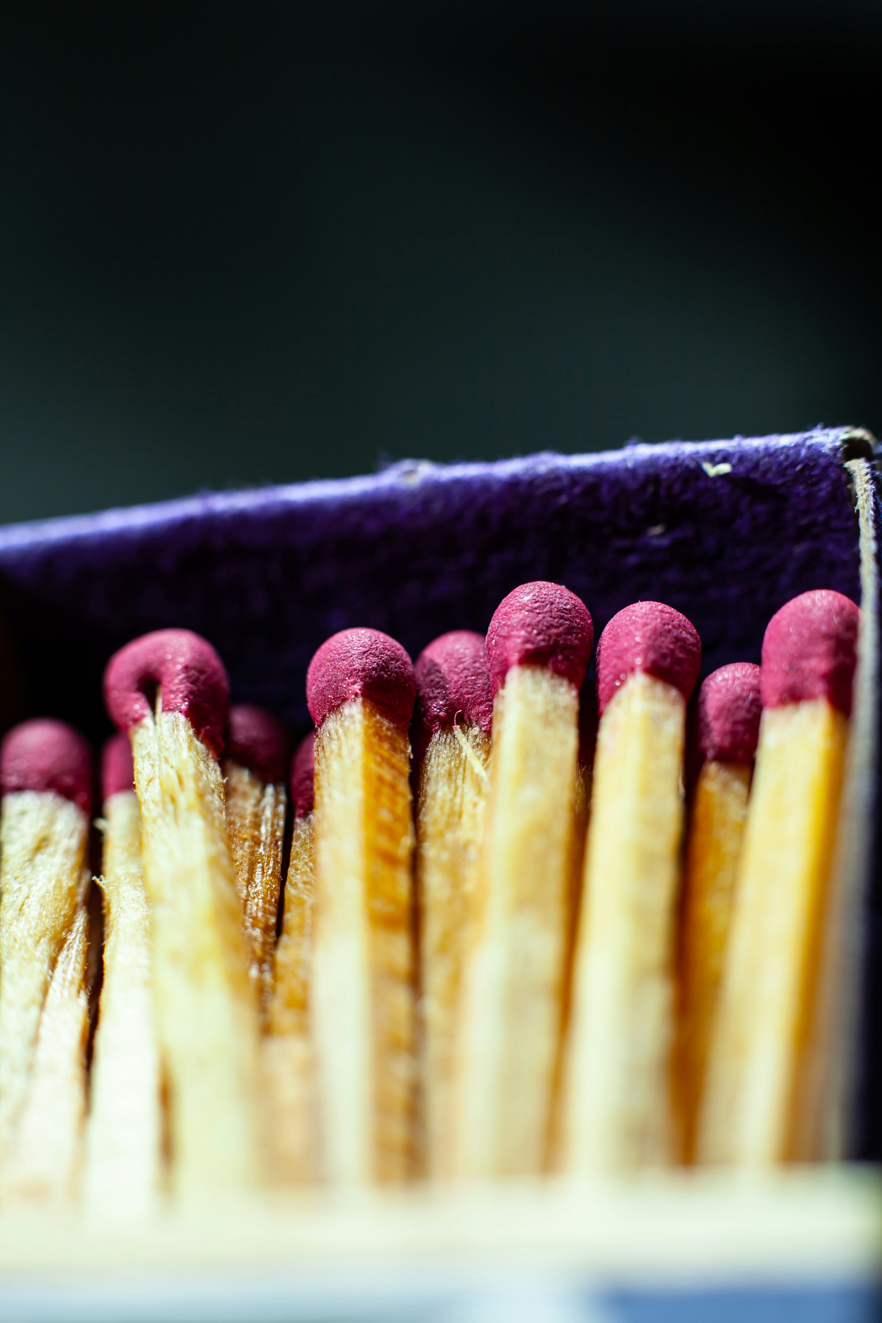 Crimson Heads in a Velvet Row: A Macro Study of Red-Tipped Matches
