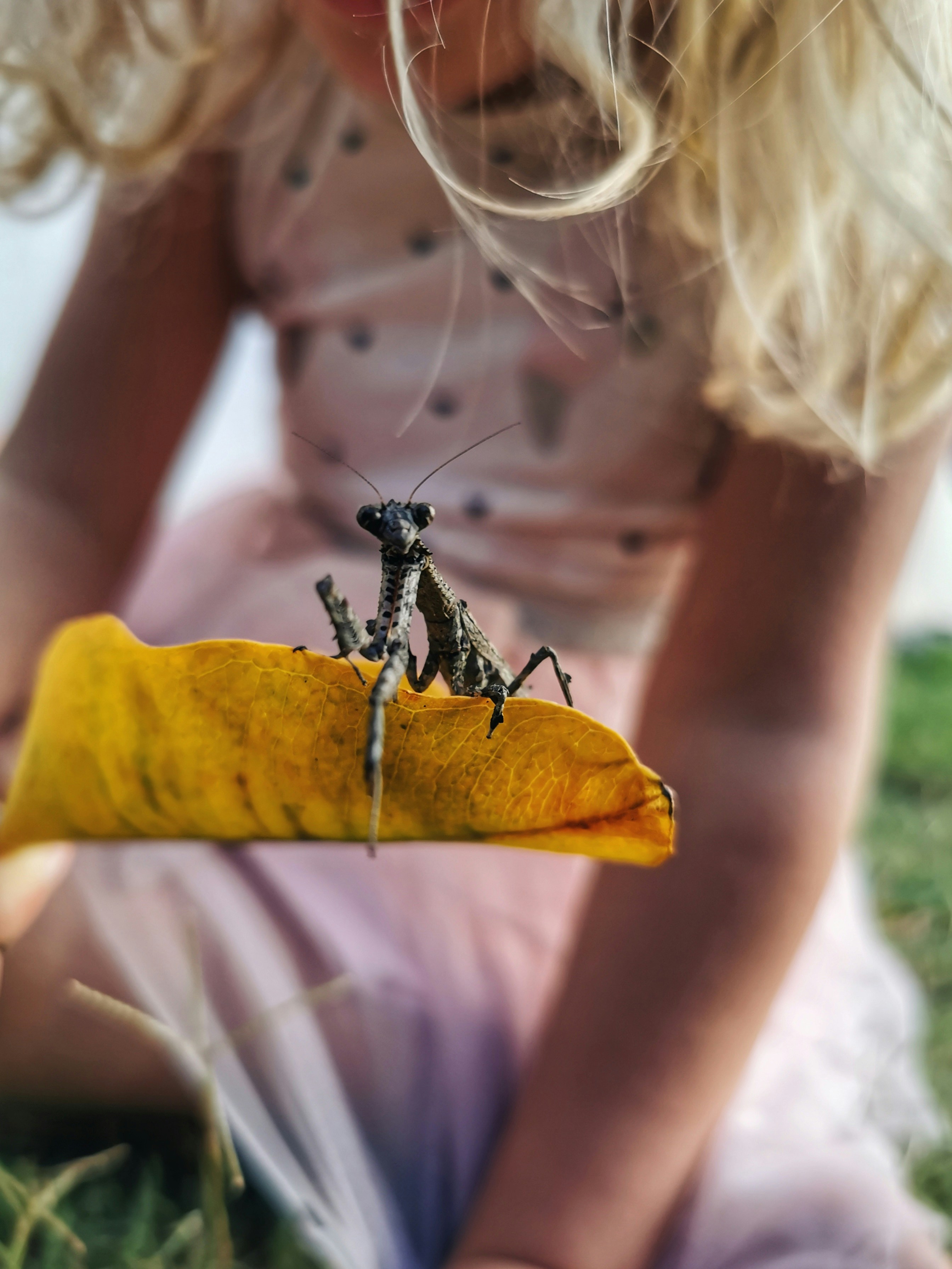 Photo by Carmen Tehillah with Huawei P30 Pro