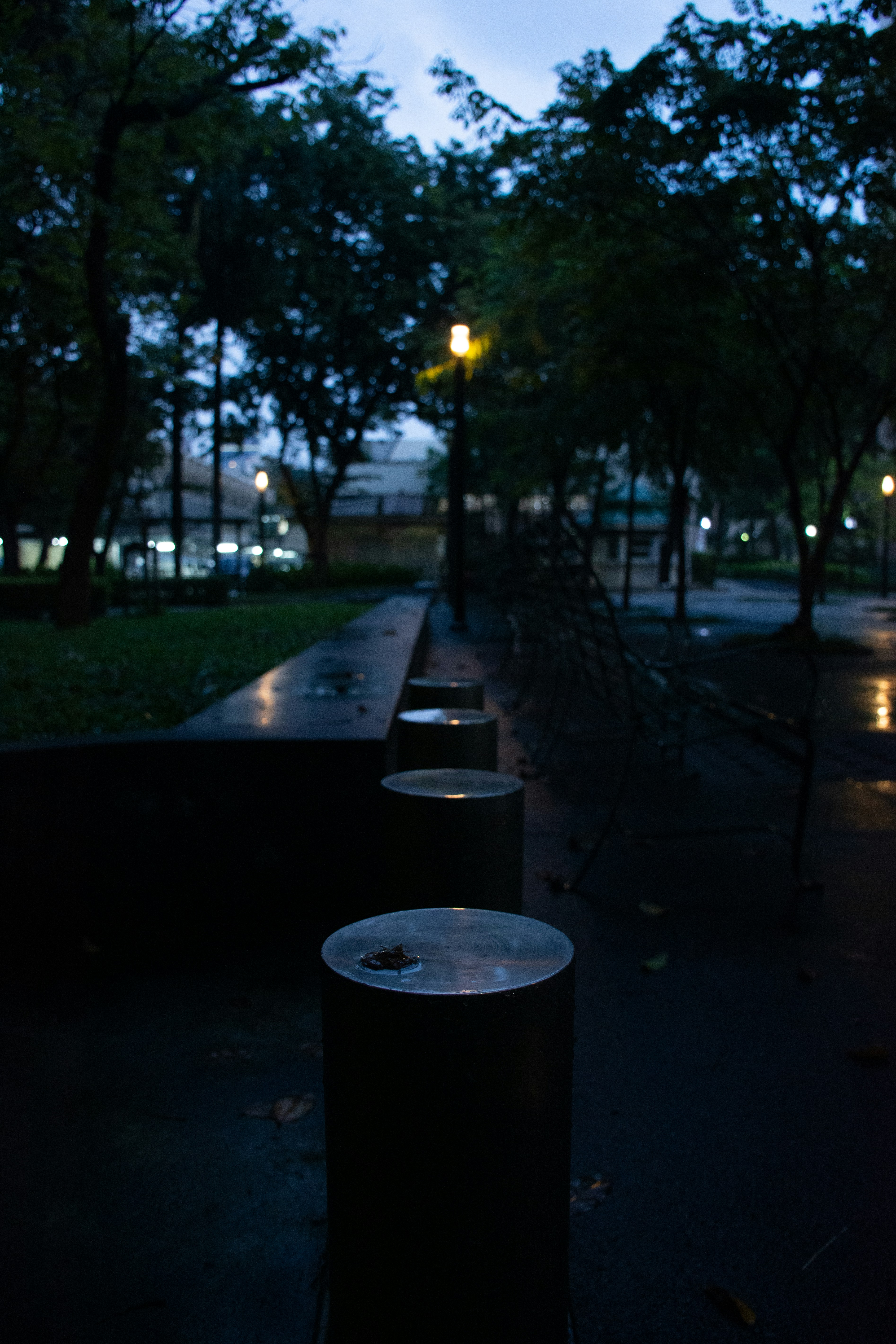 Dusk Along a Wet Bollard Row in a Quiet Park