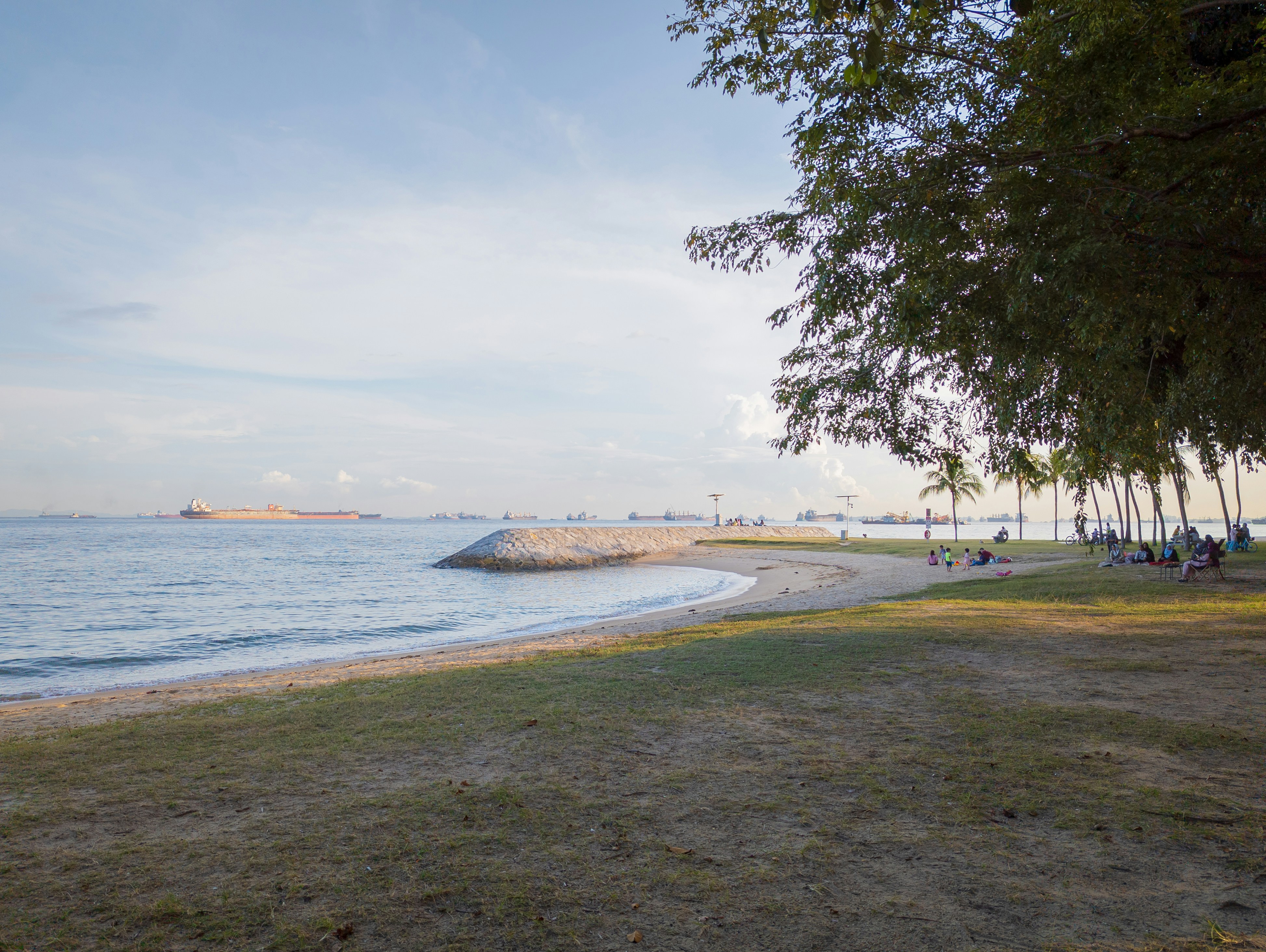 The Gentle Curve: Quiet Lakeside Breakwater and Shaded Shore
