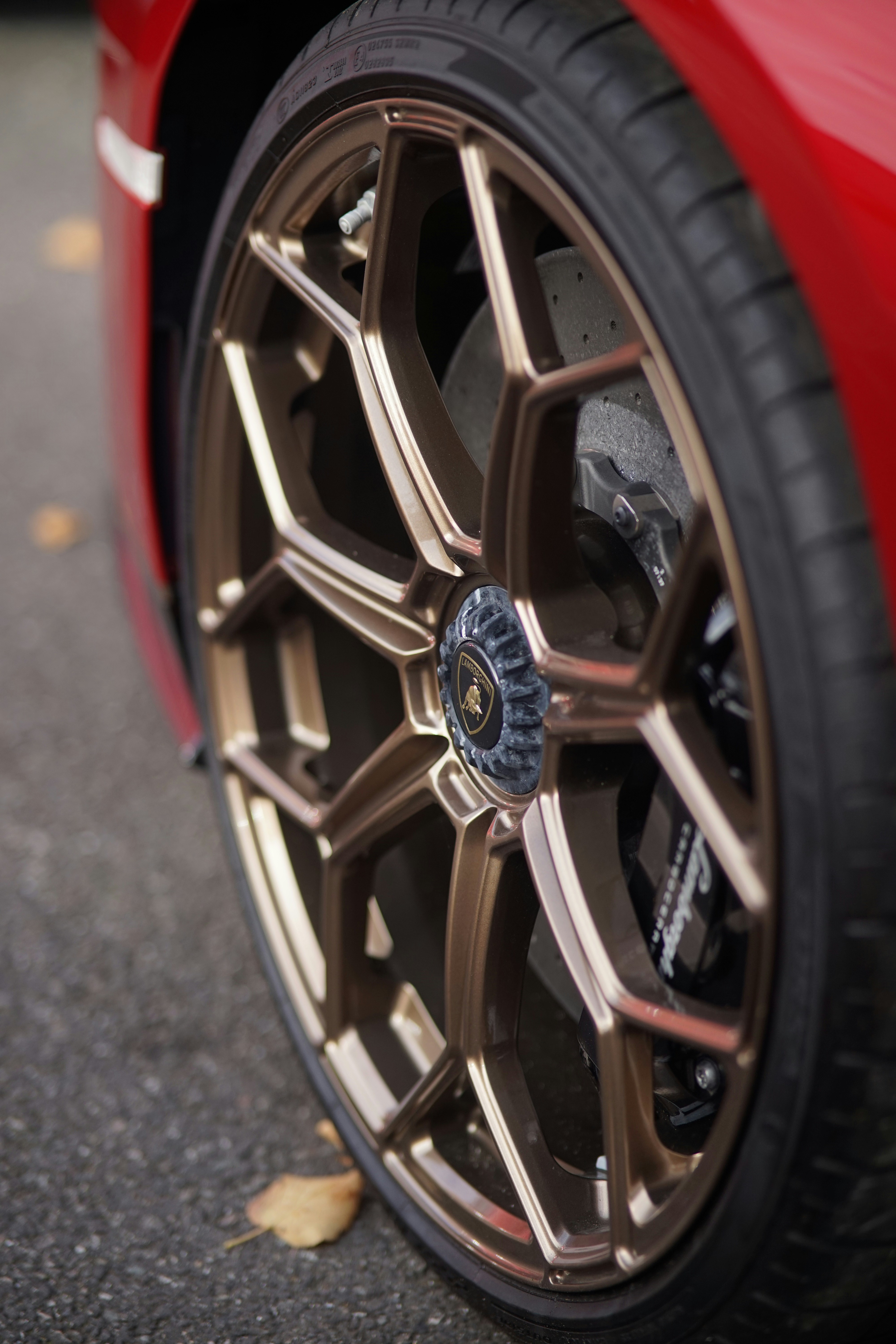 Close-up of a Lamborghini wheel showcasing intricate design and craftsmanship. The rich bronze finish contrasts beautifully with the surrounding elements.