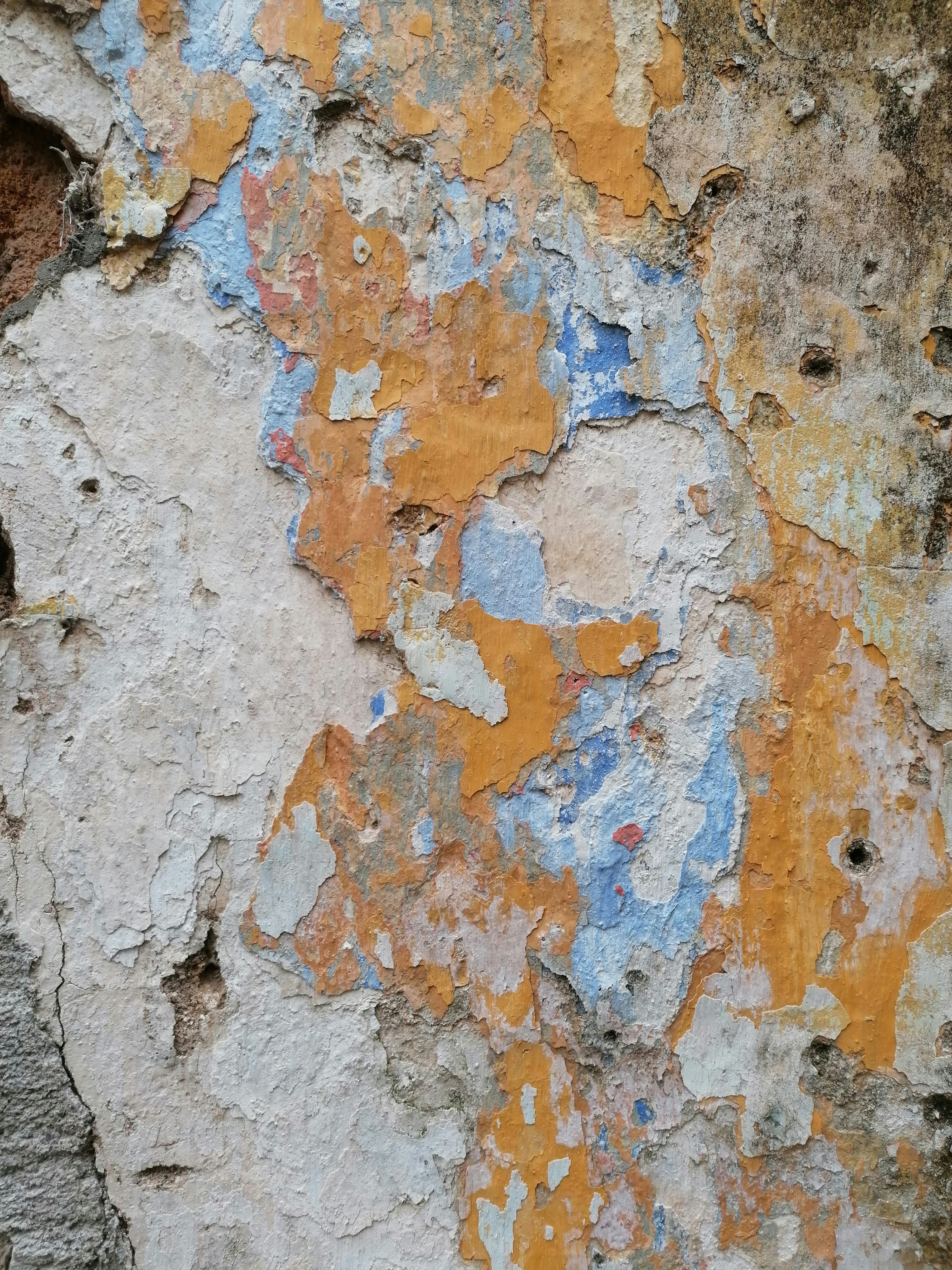 Parede De Cal Fotos | Baixe imagens gratuitas na Unsplash