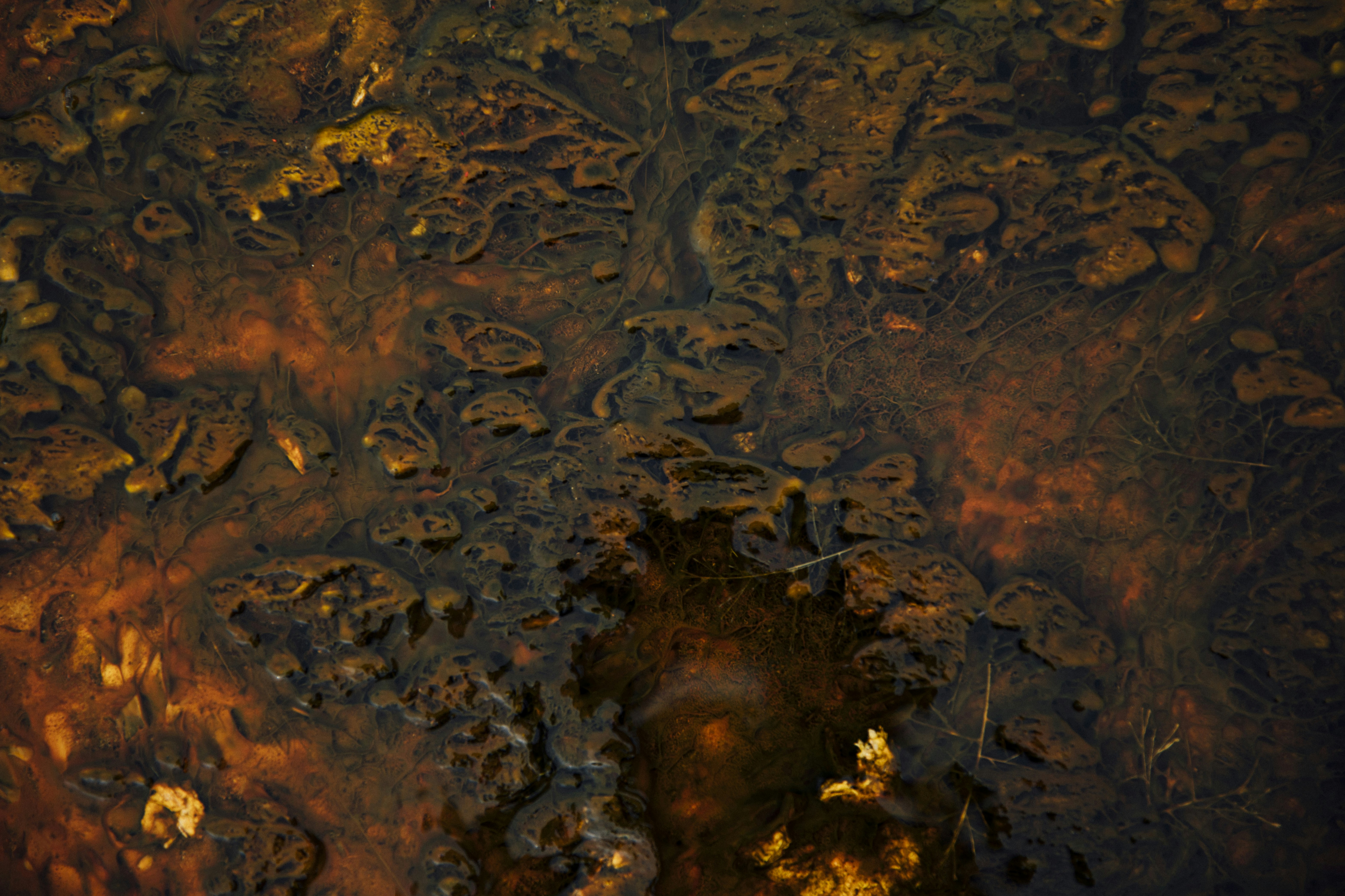 Photo by Lisha Riabinina with Canon EOS 5D Mark IV