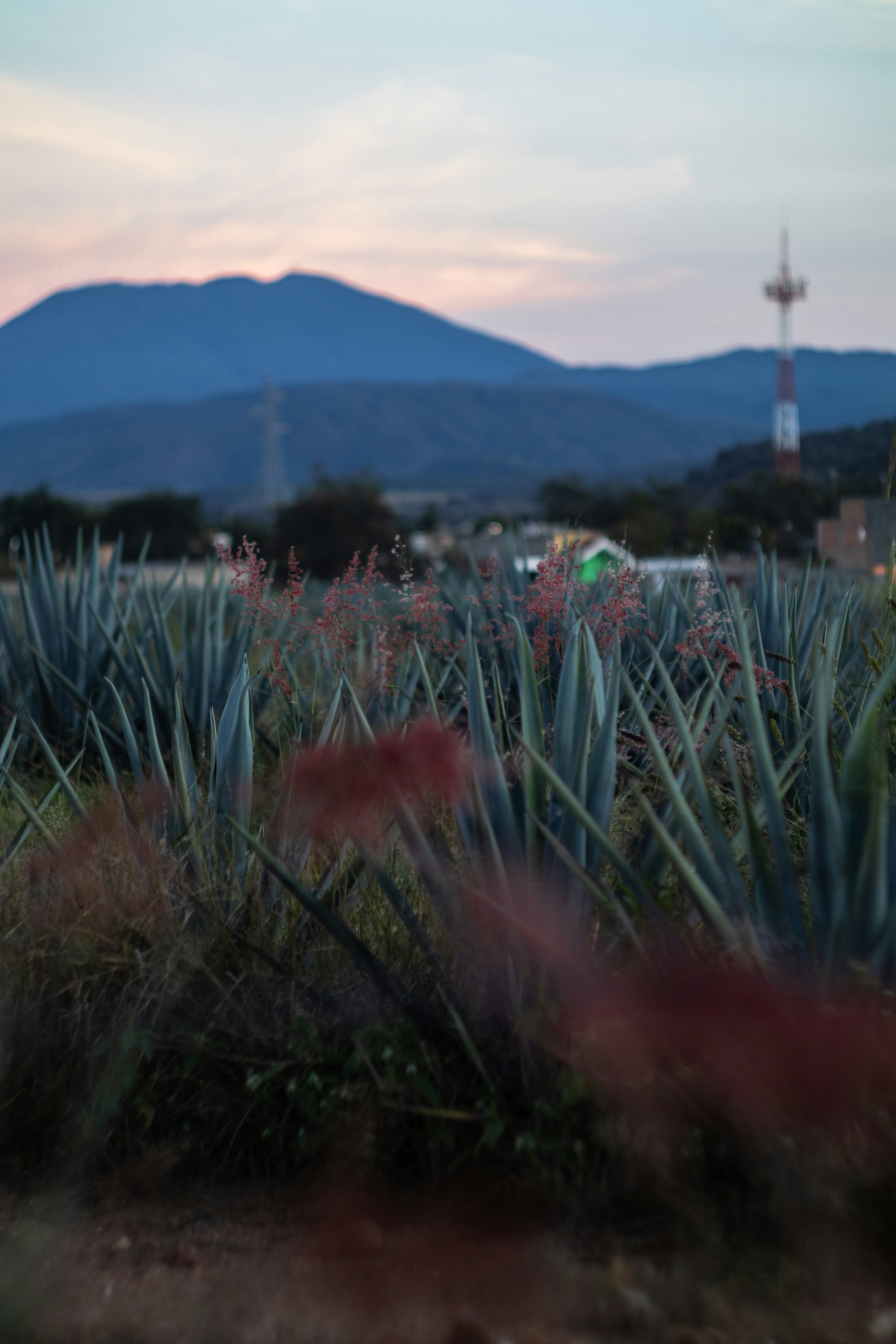 Photo by César Cabrera with Canon EOS M200