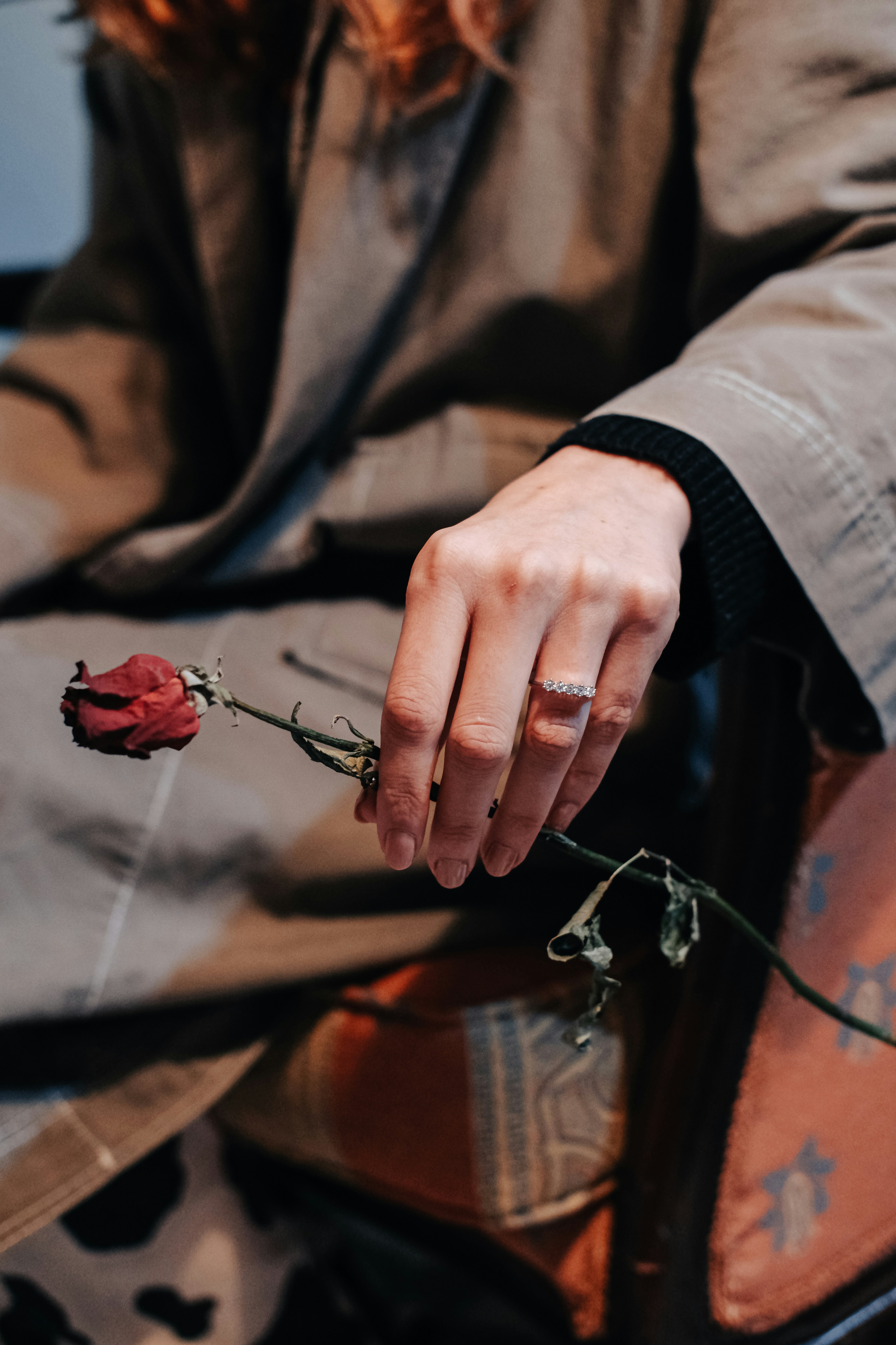 Rose Petal and Ring: A Quiet Moment in Elastic Light