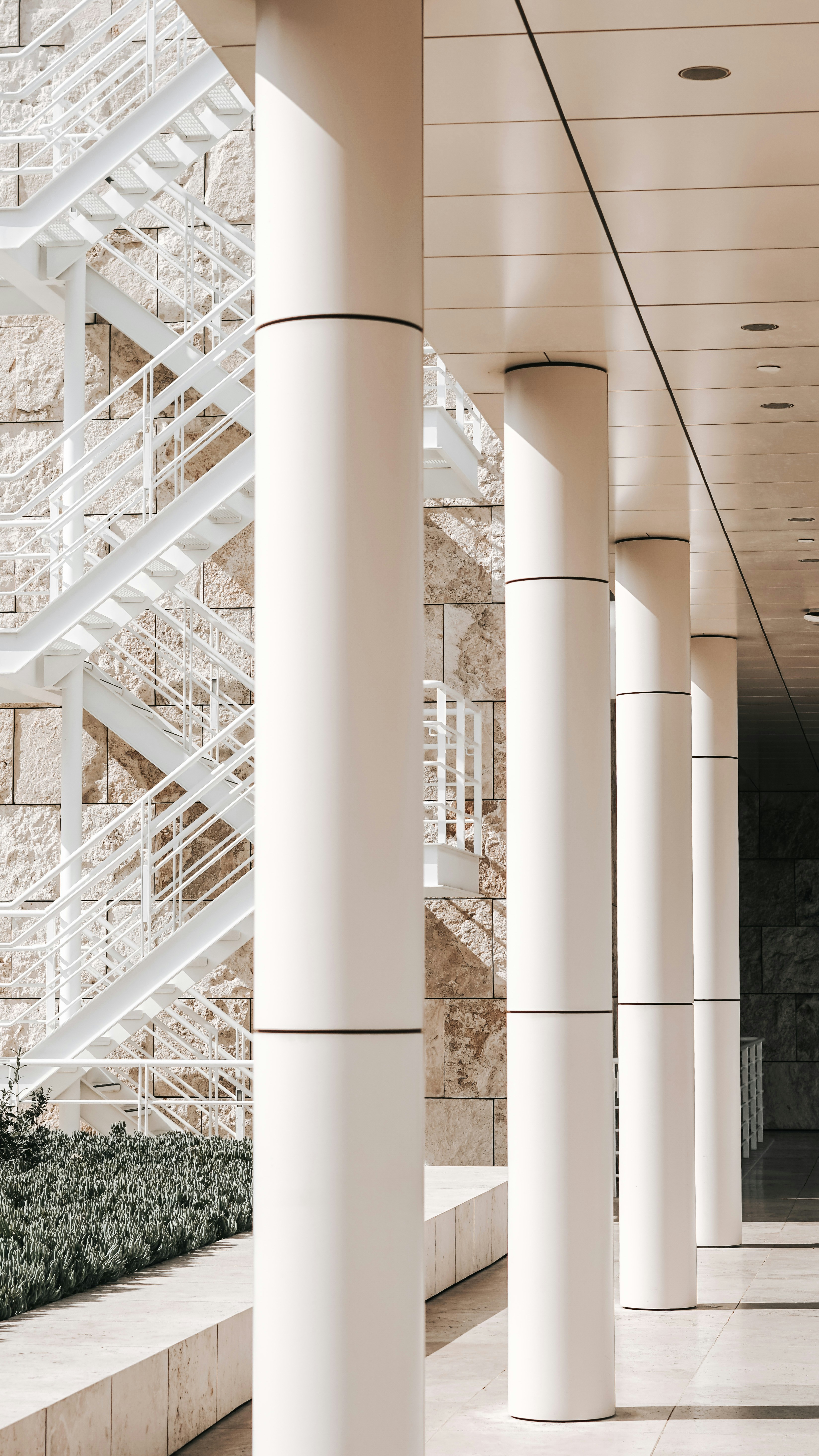 Photo by Kim Stewart with Sony Alpha 6300