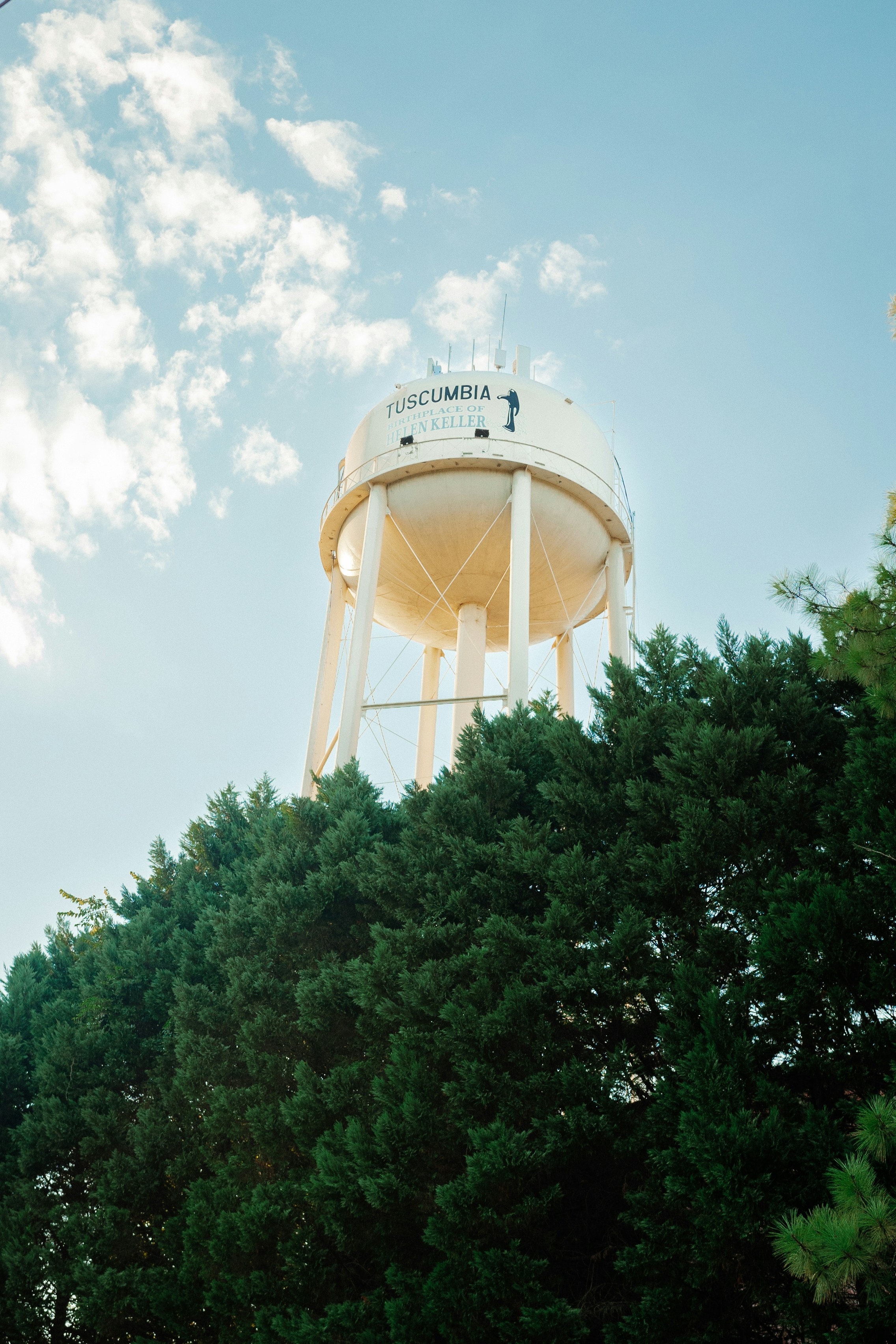 A water tower with trees in the foreground photo – Free Usa Image on ...