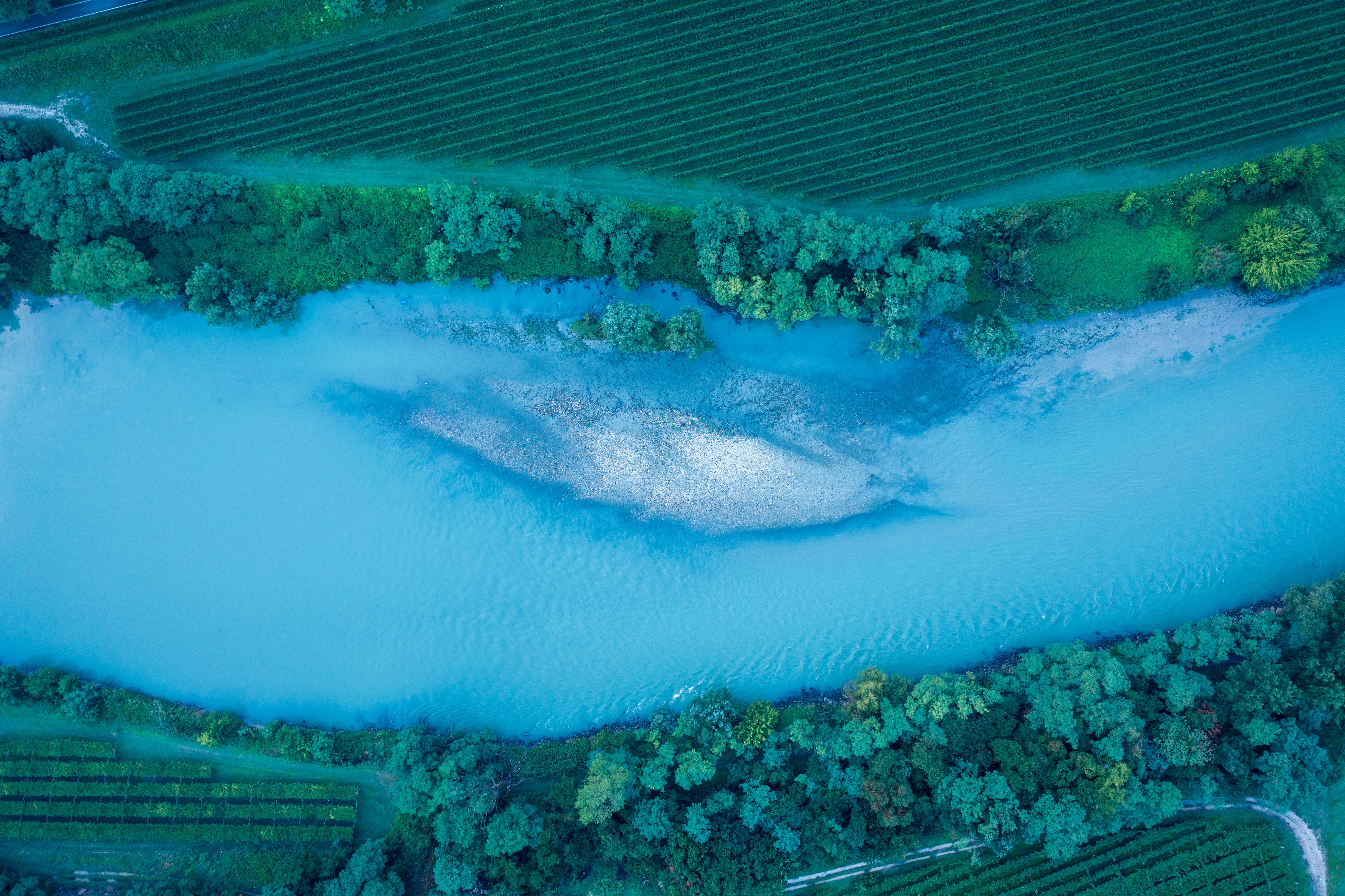 Aerial Veins: A River Winding Through Verdant Fields