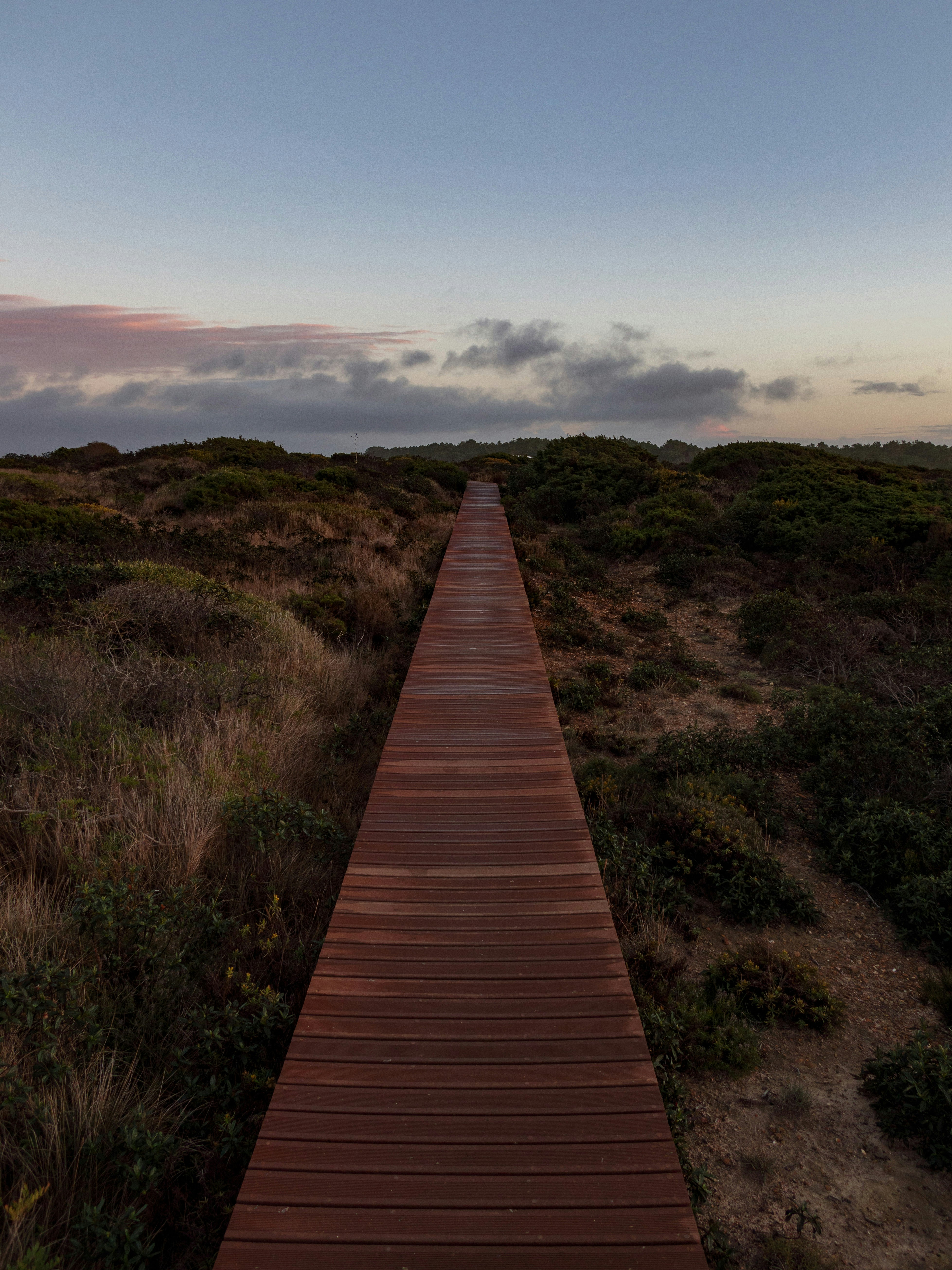 Converging Planks at Dusk: A Walkway to the Quiet Horizon