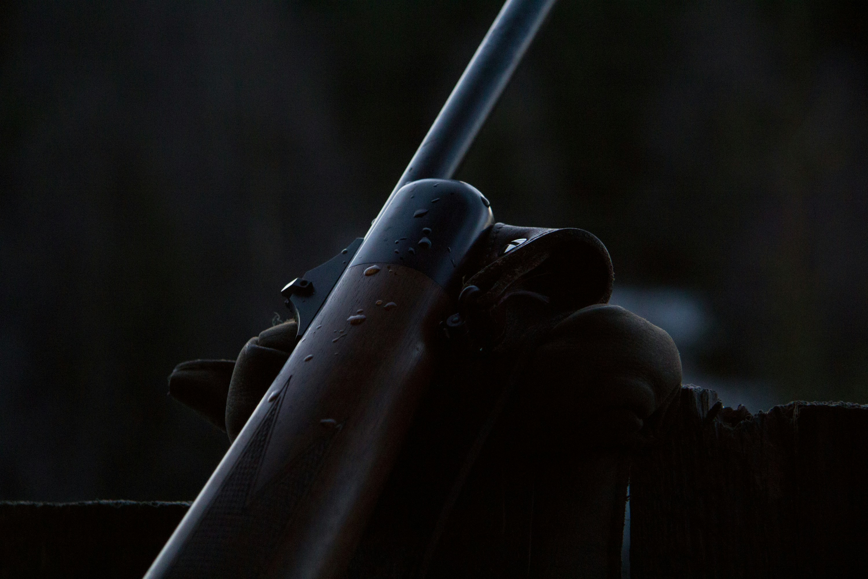 Musket Pictures | Download Free Images on Unsplash