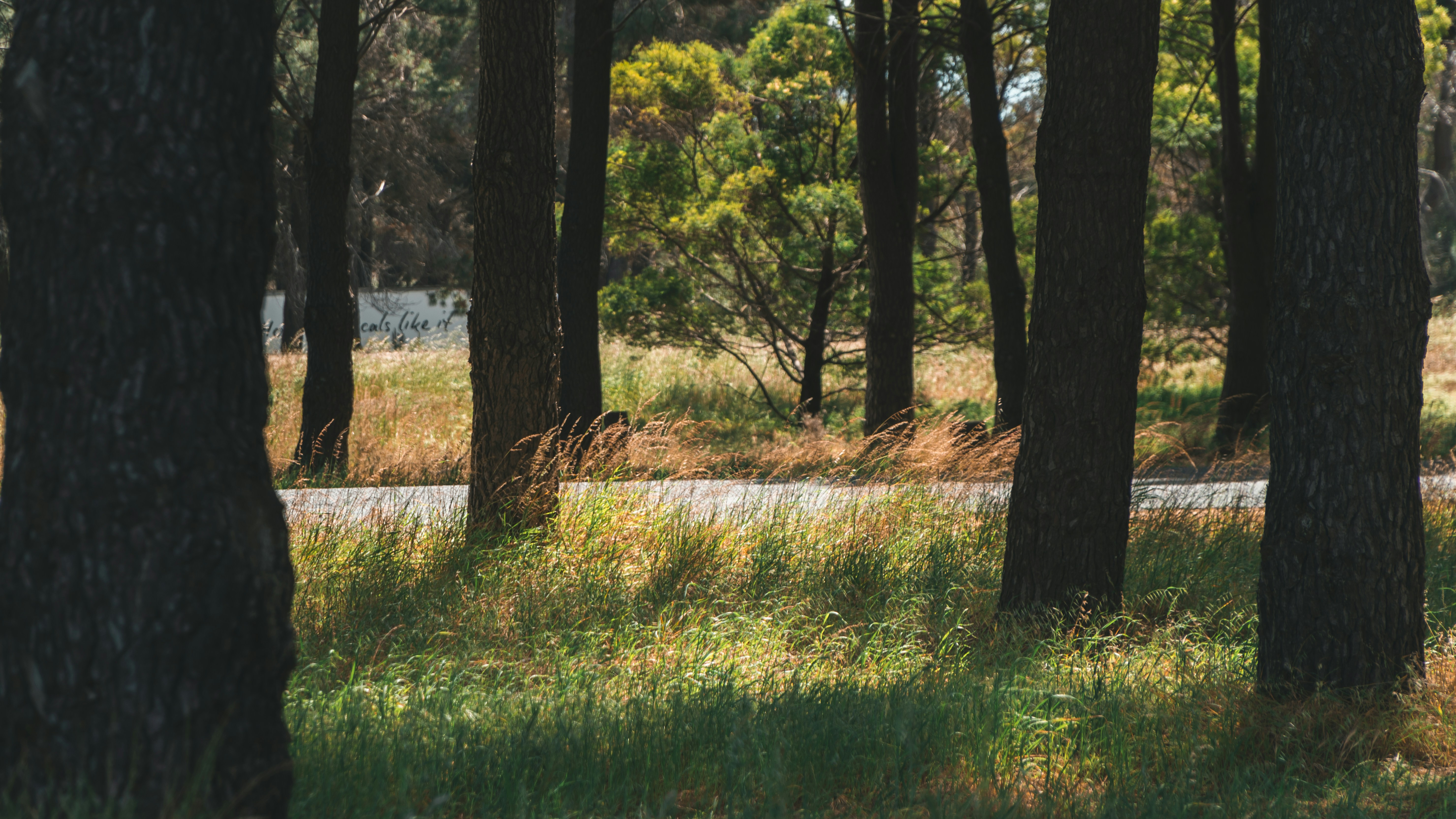 Photo by Kar Ming Moo with Sony Alpha 6400