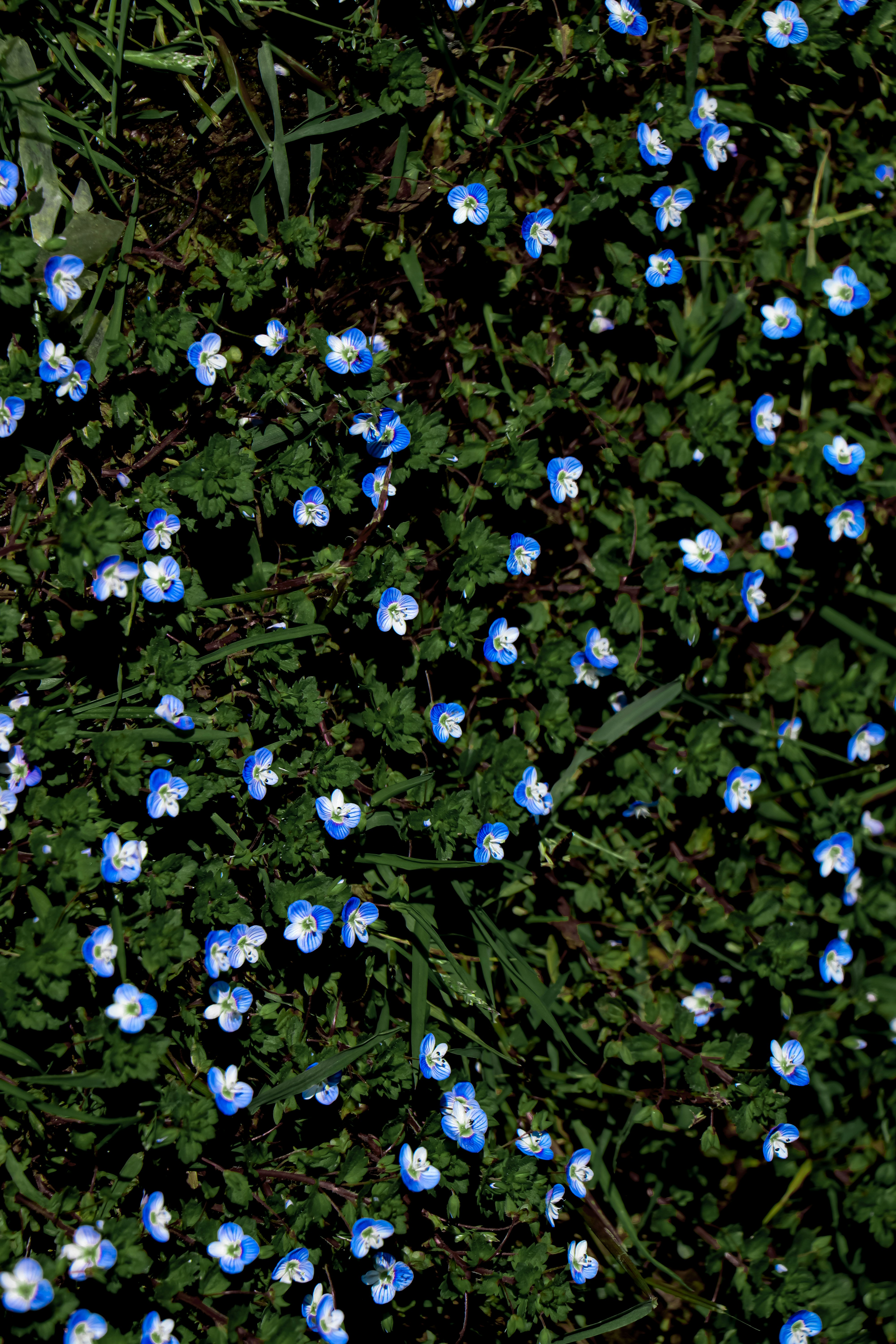4k Wallpaper Blue Pictures | Download Free Images on Unsplash