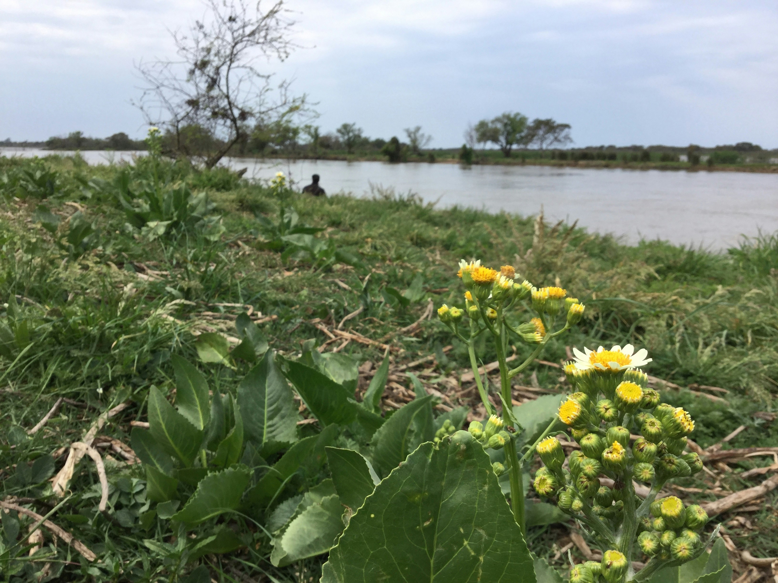 Marcelo Pablo (@marcelopablo) | Unsplash Photo Community
