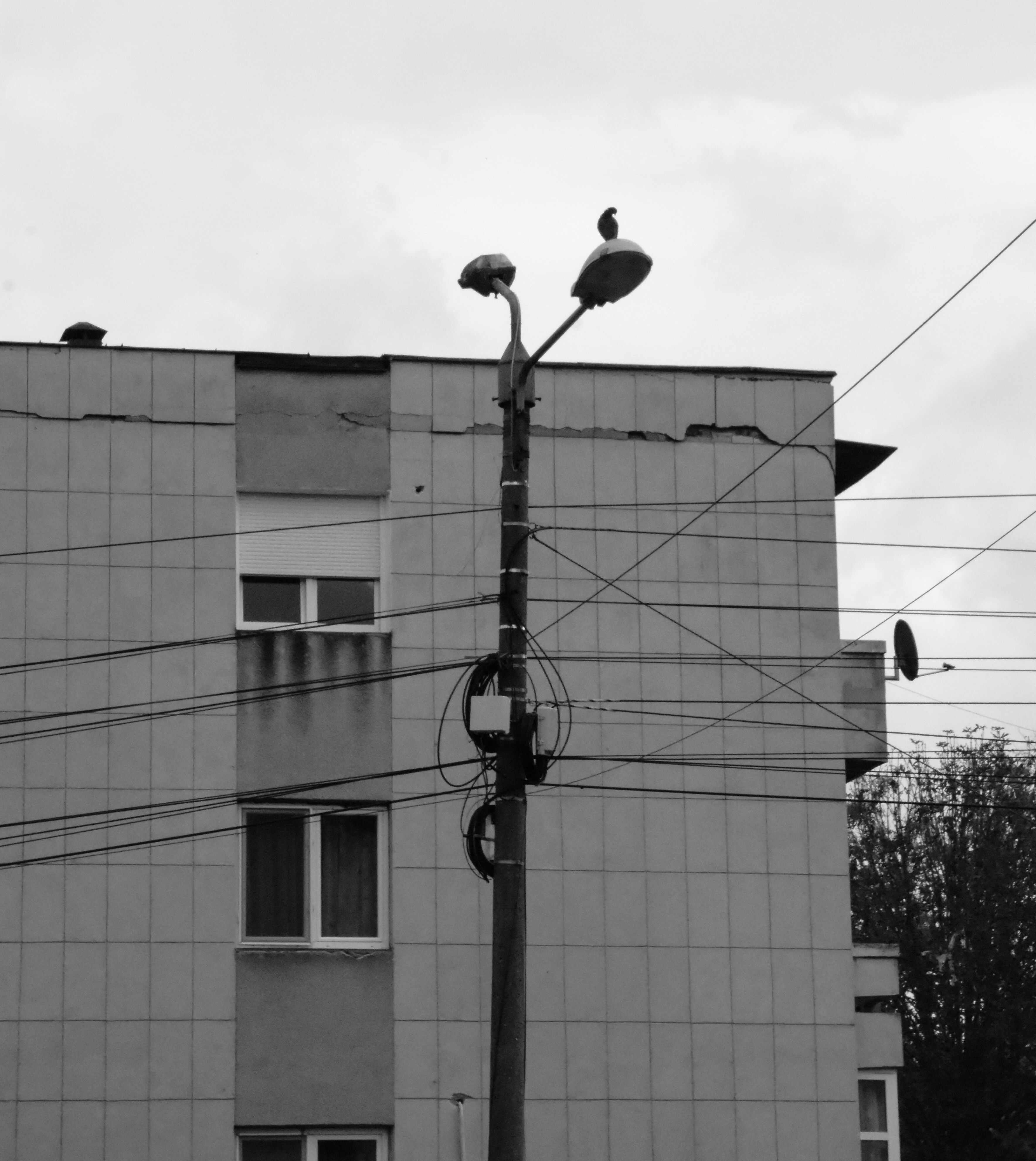 A building with a light post in front of it photo – Free ...