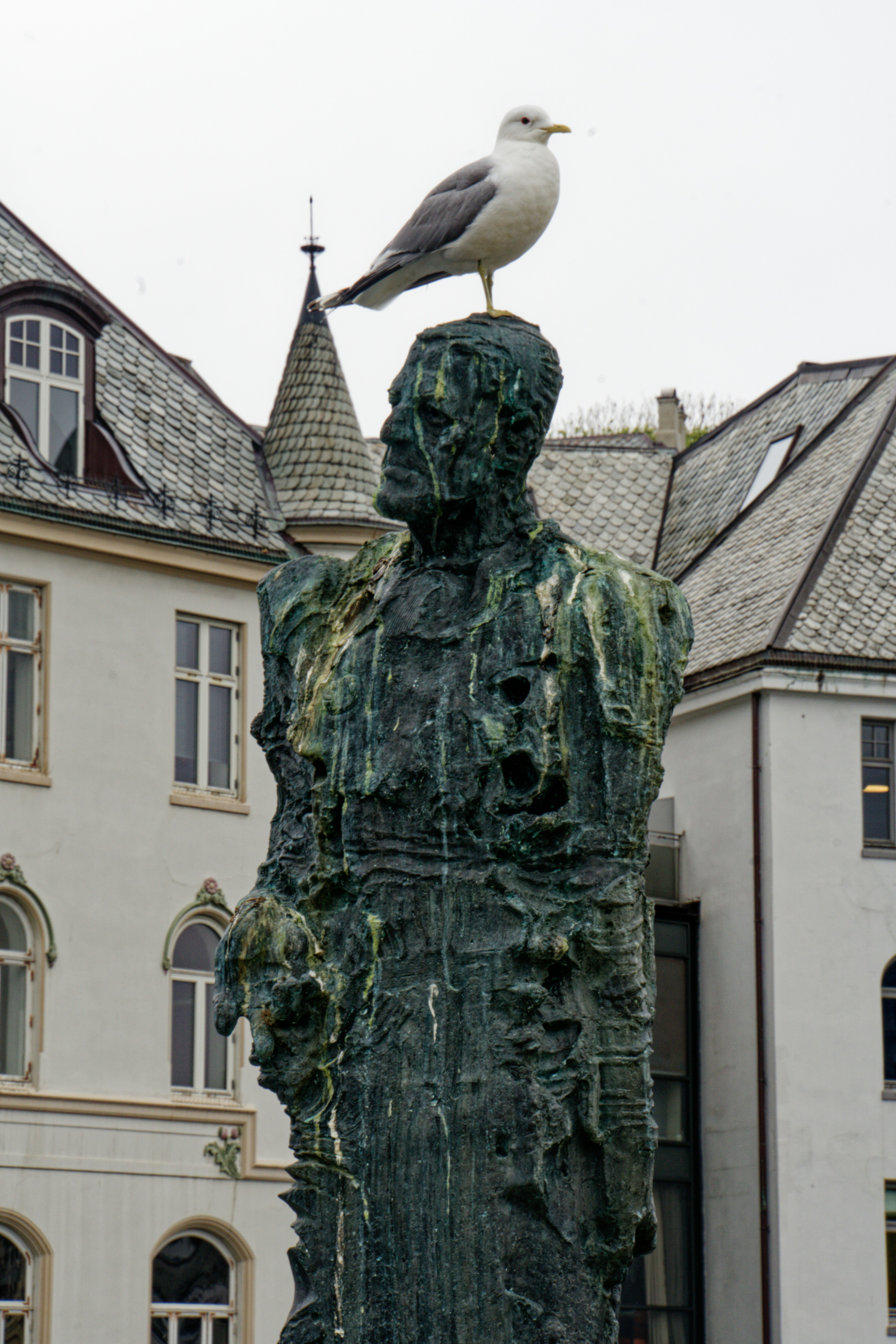 A Seagull's Perch on Timeworn Stone
