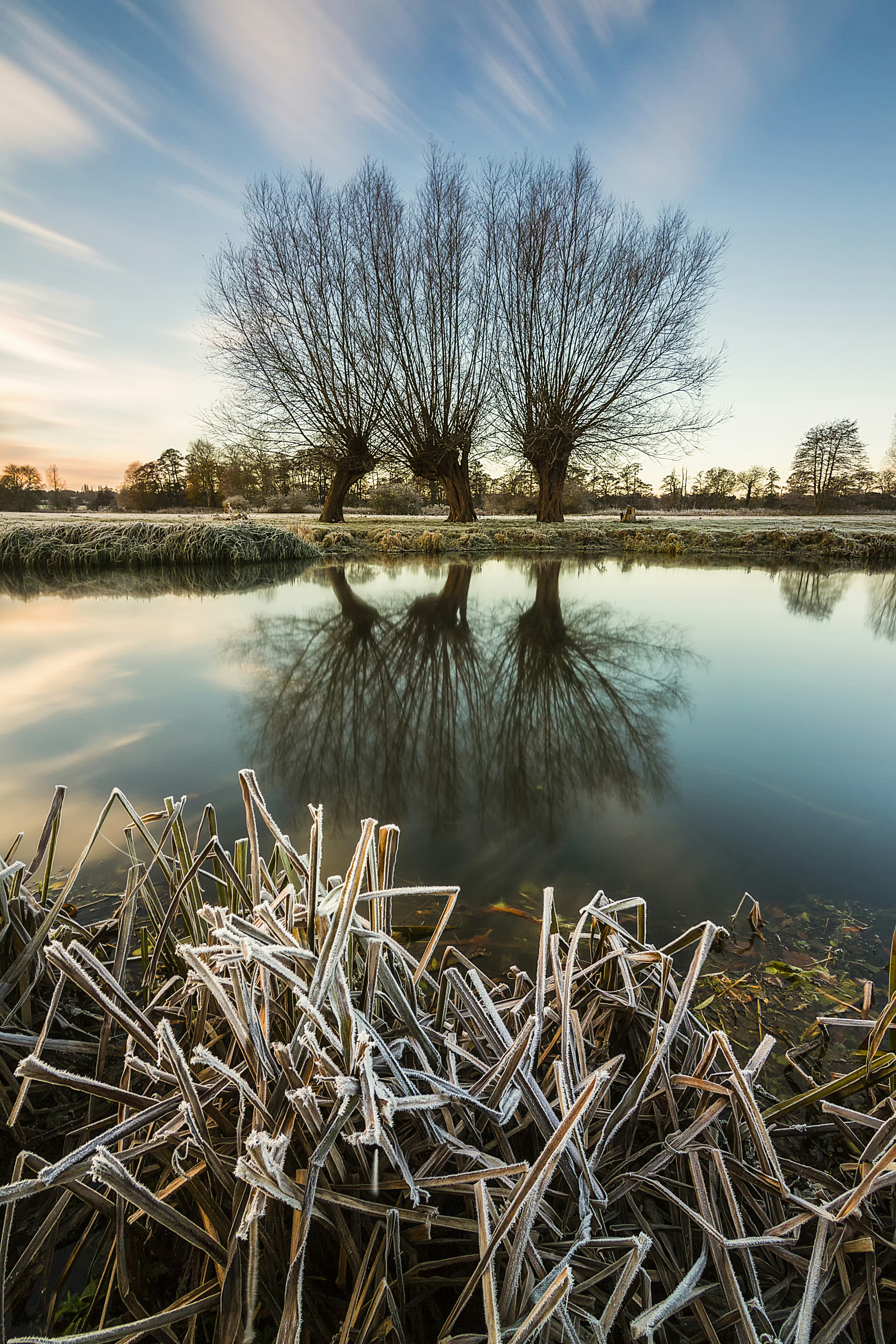 Whispers of Winter: Tranquil Reflections