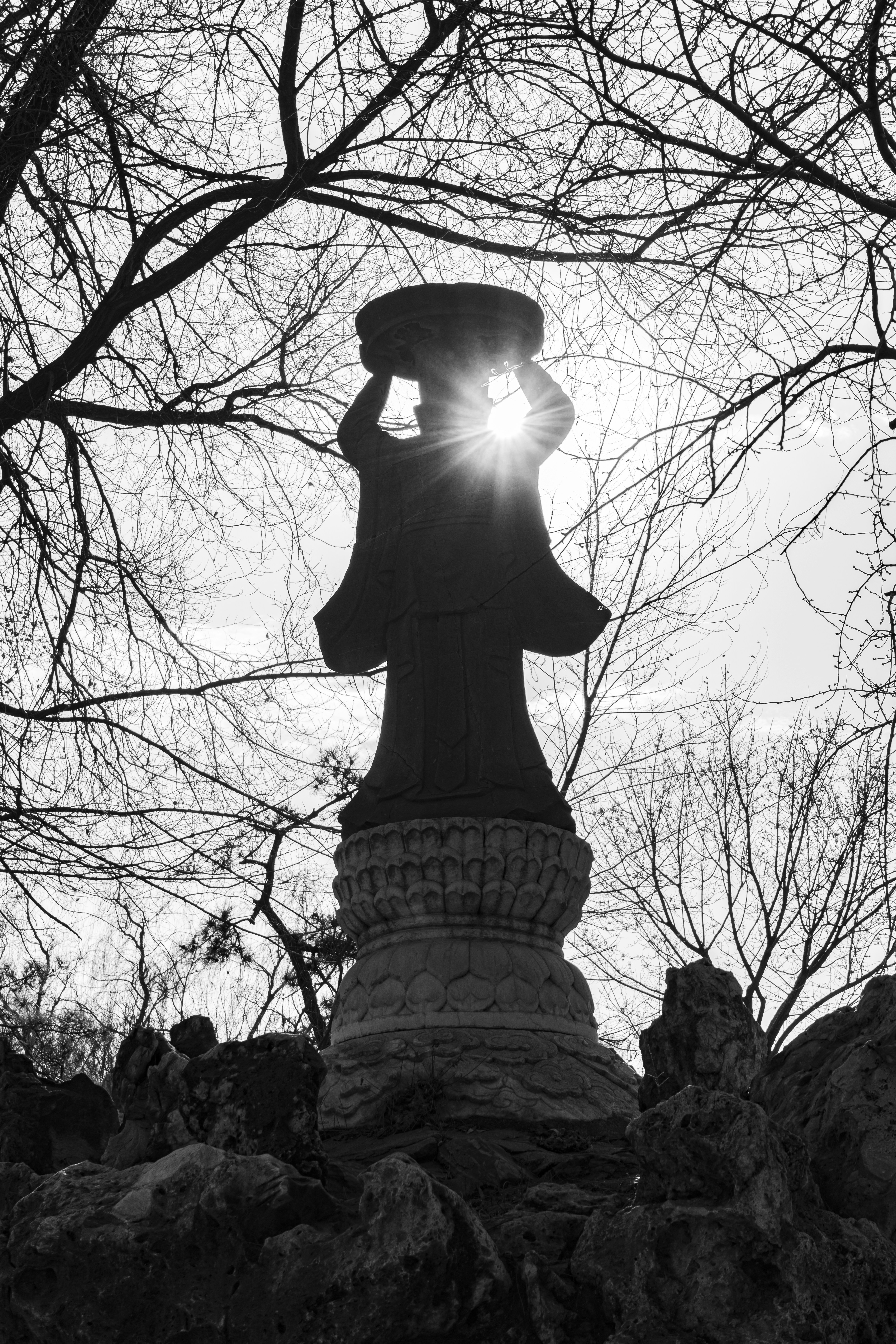 Sunburst Sentinel: a statue framed by bare branches