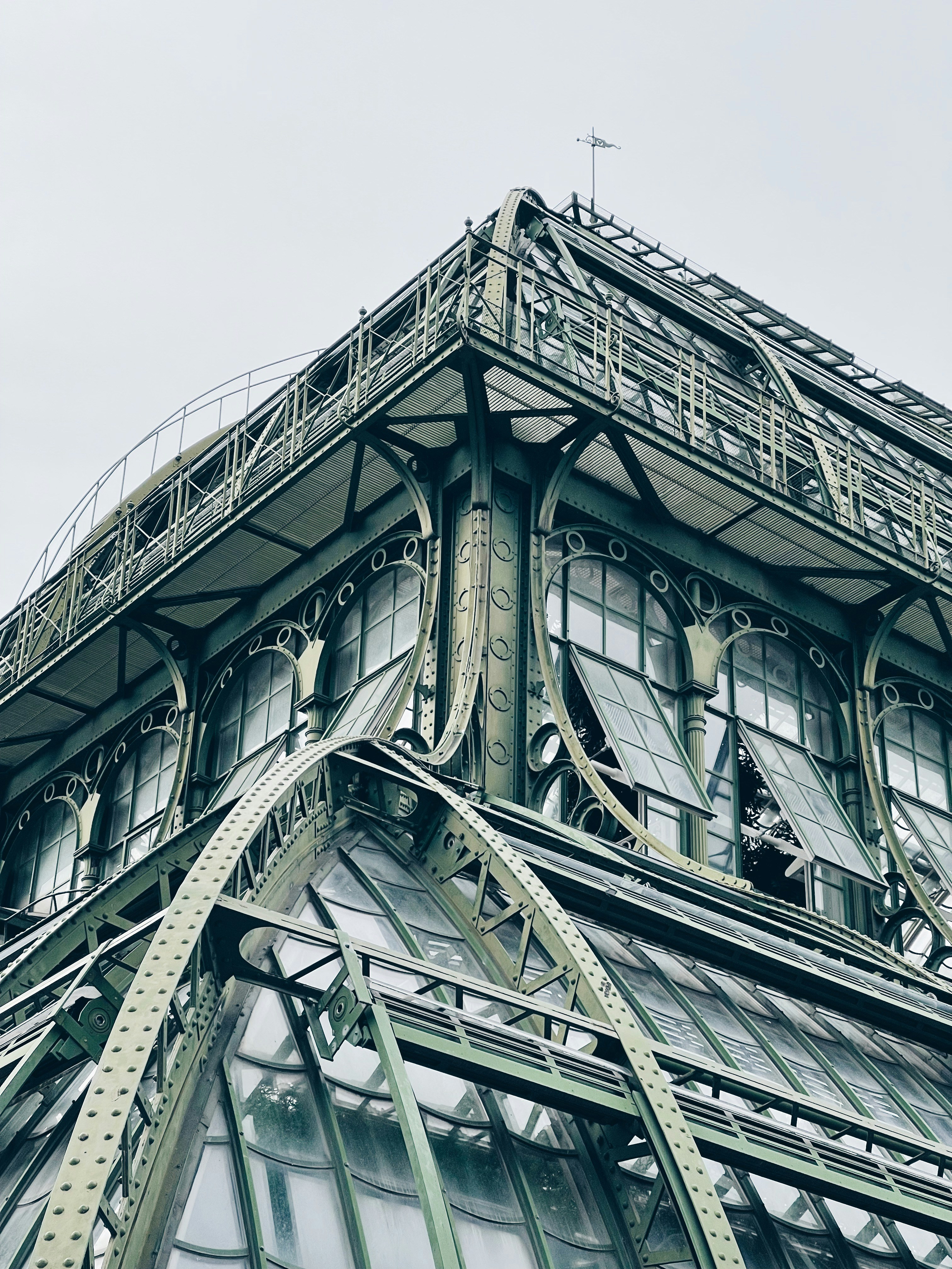 Botanical garden. Wien