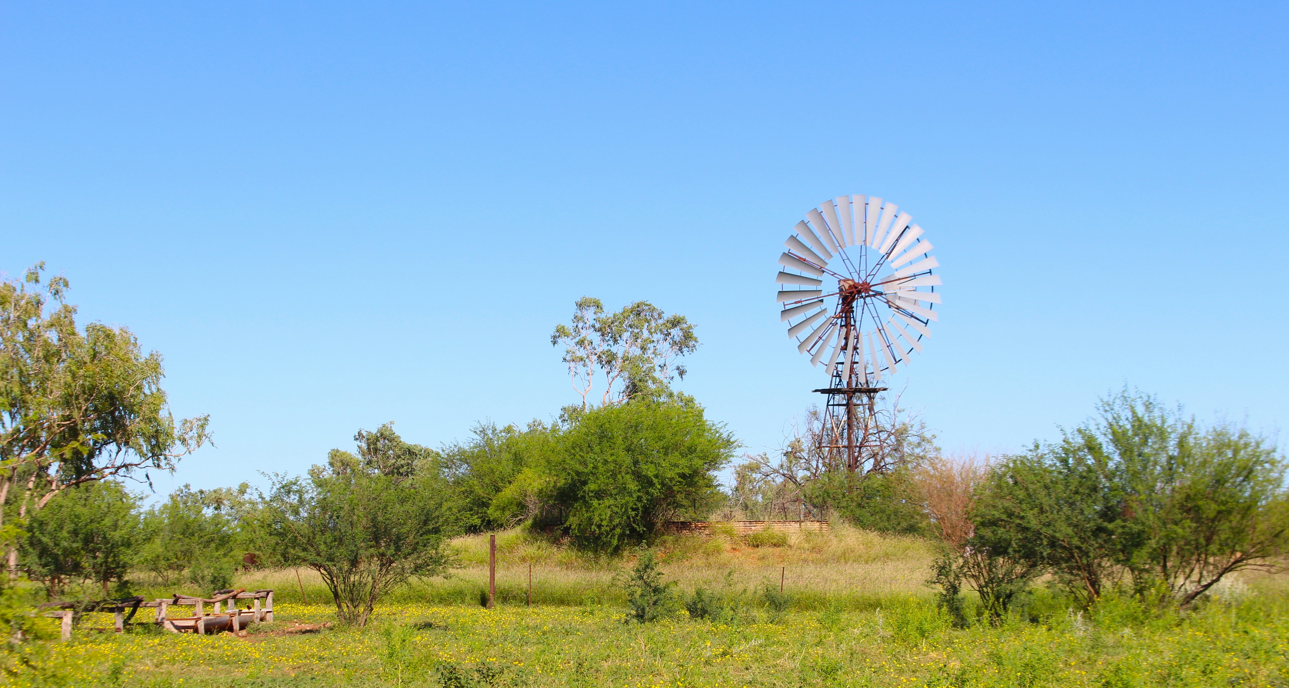 A large windmill in a field photo – Free Walkers park station qld Image ...