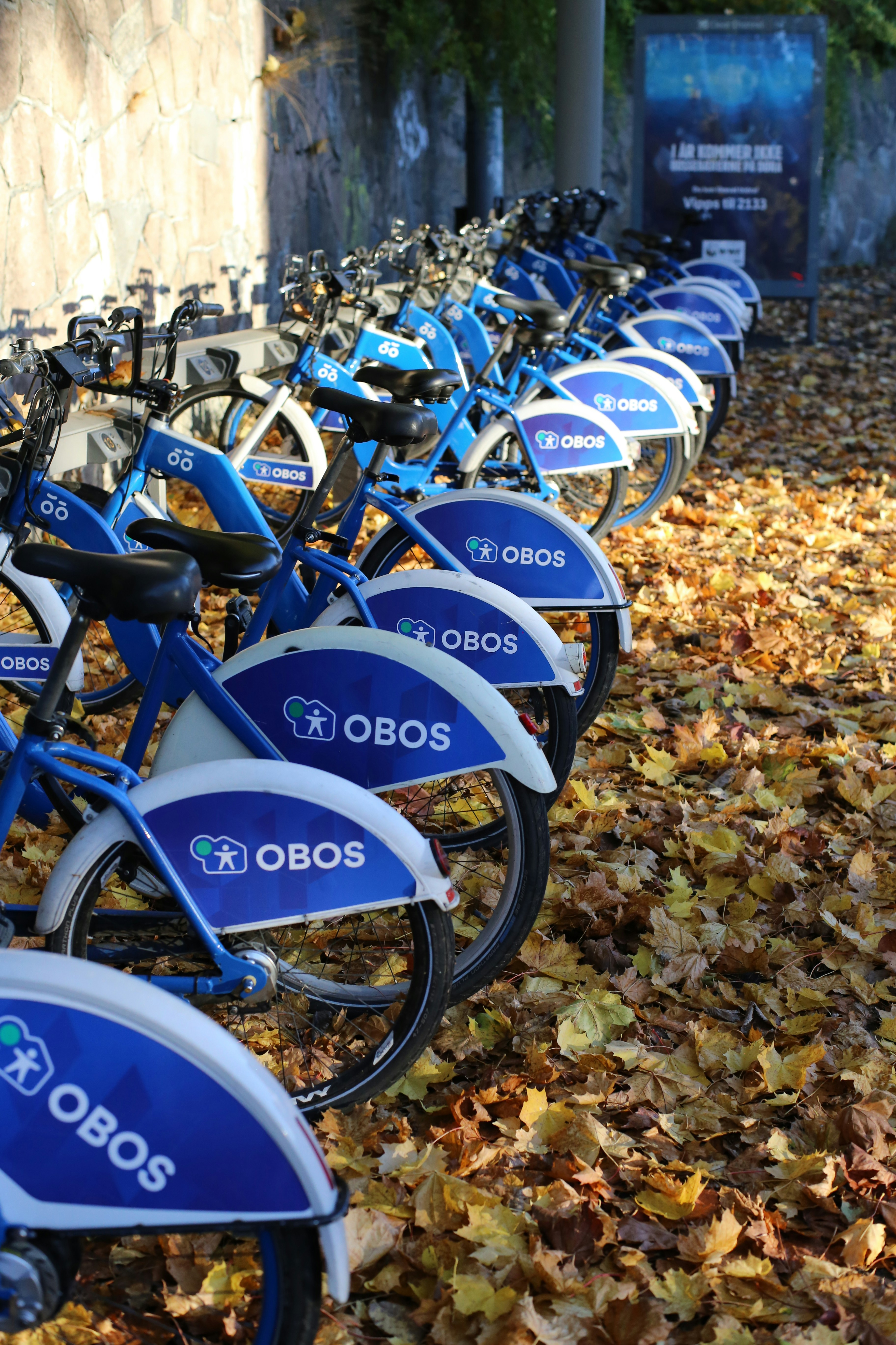 A group of bicycles parked on the side of a road photo – Free Oslo ...
