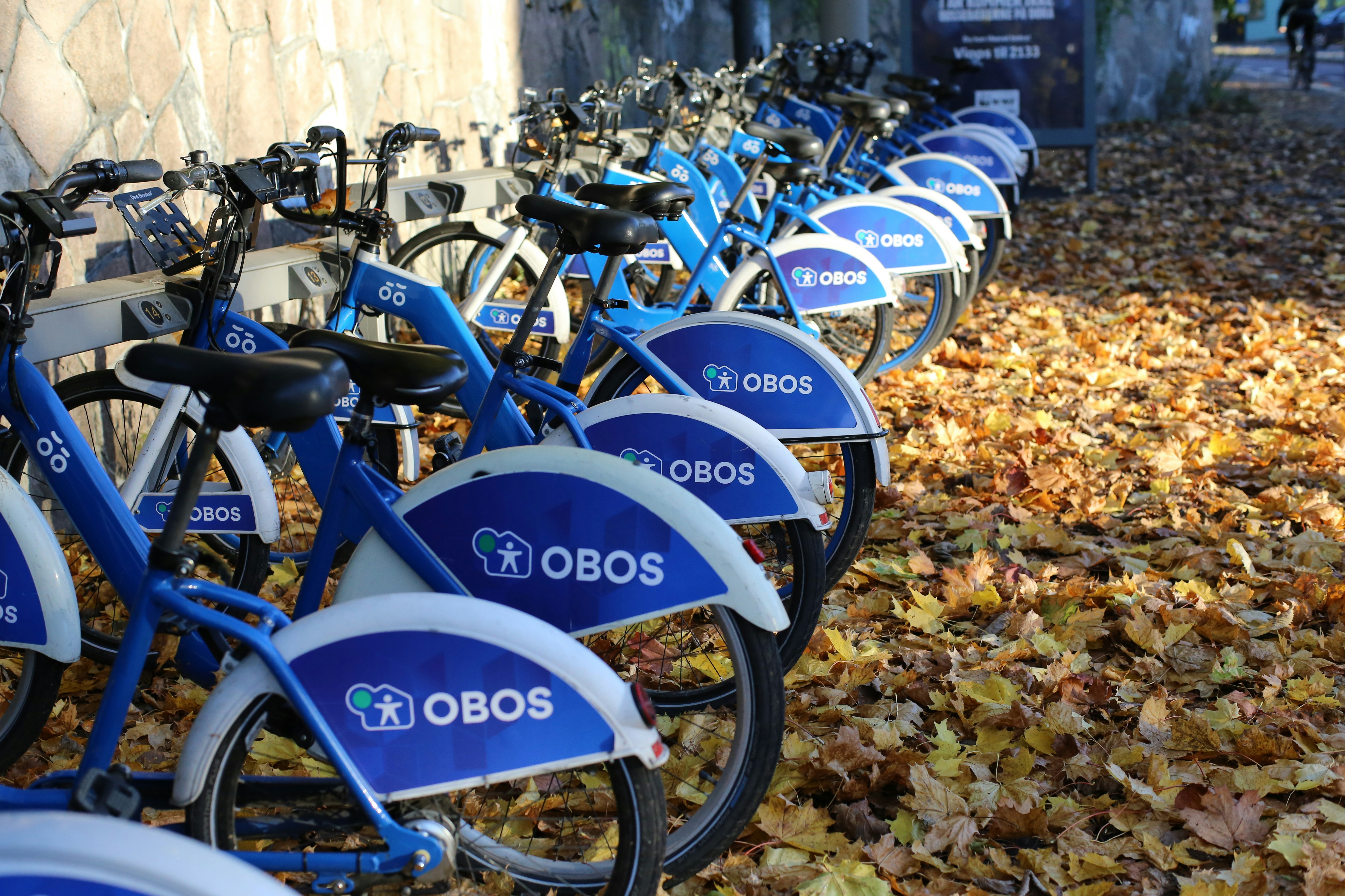 Leaf-Packed Lineup of Blue OBOS Bikes on a City Street