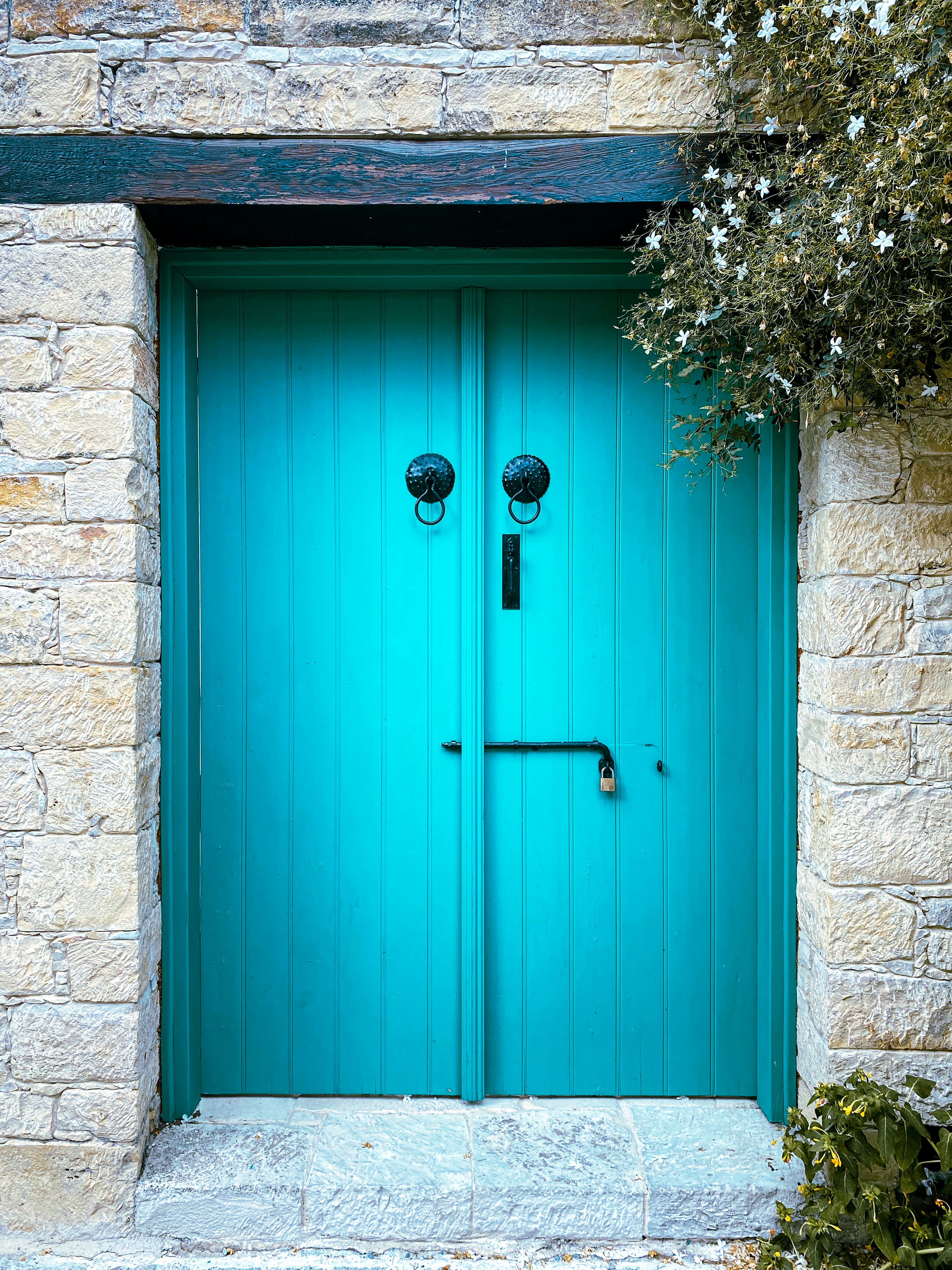Teal Twin Doors Framed by Weathered Stone with Ivy Cascade