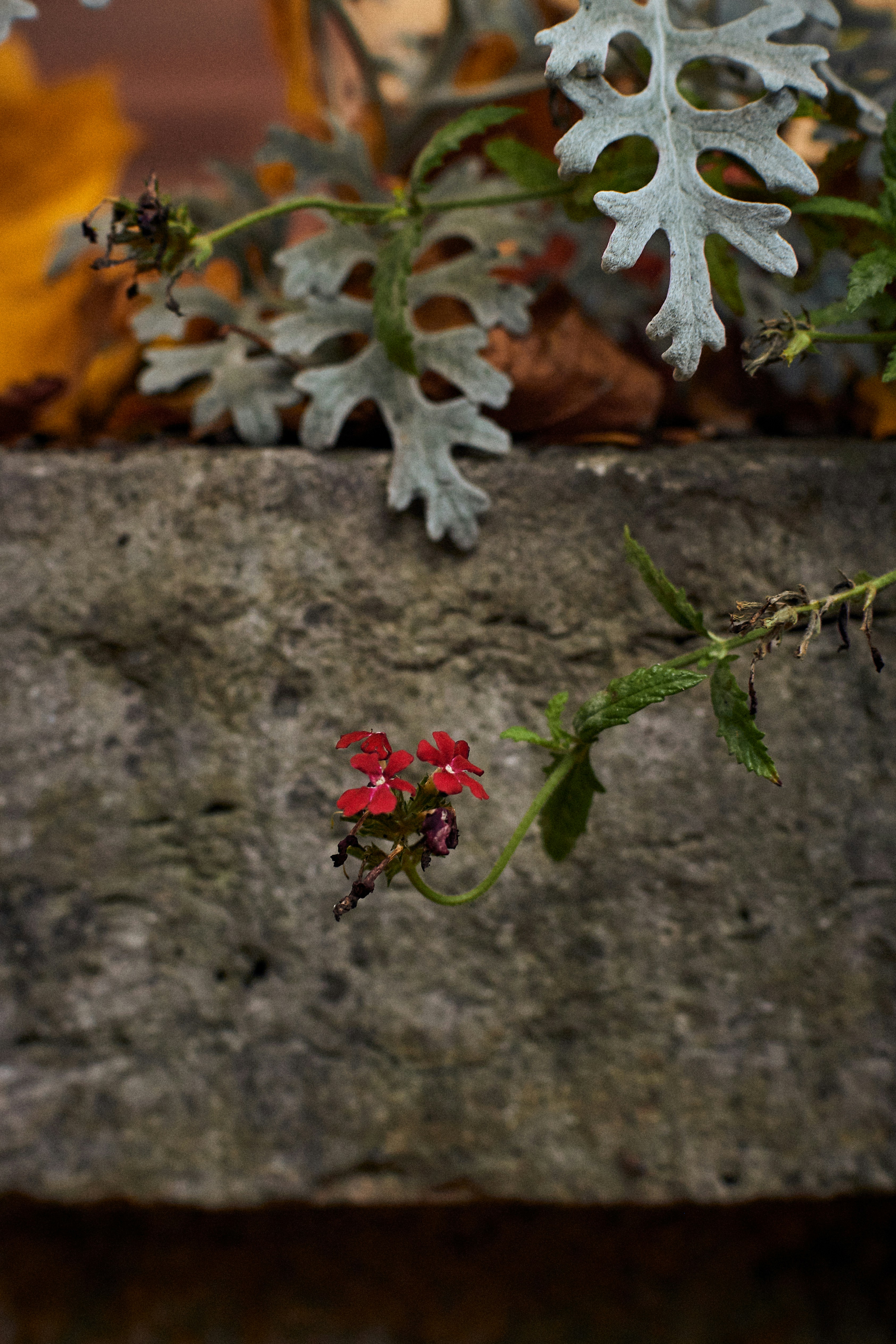 Photo by Dana Sarsenbekova with Canon EOS 600D