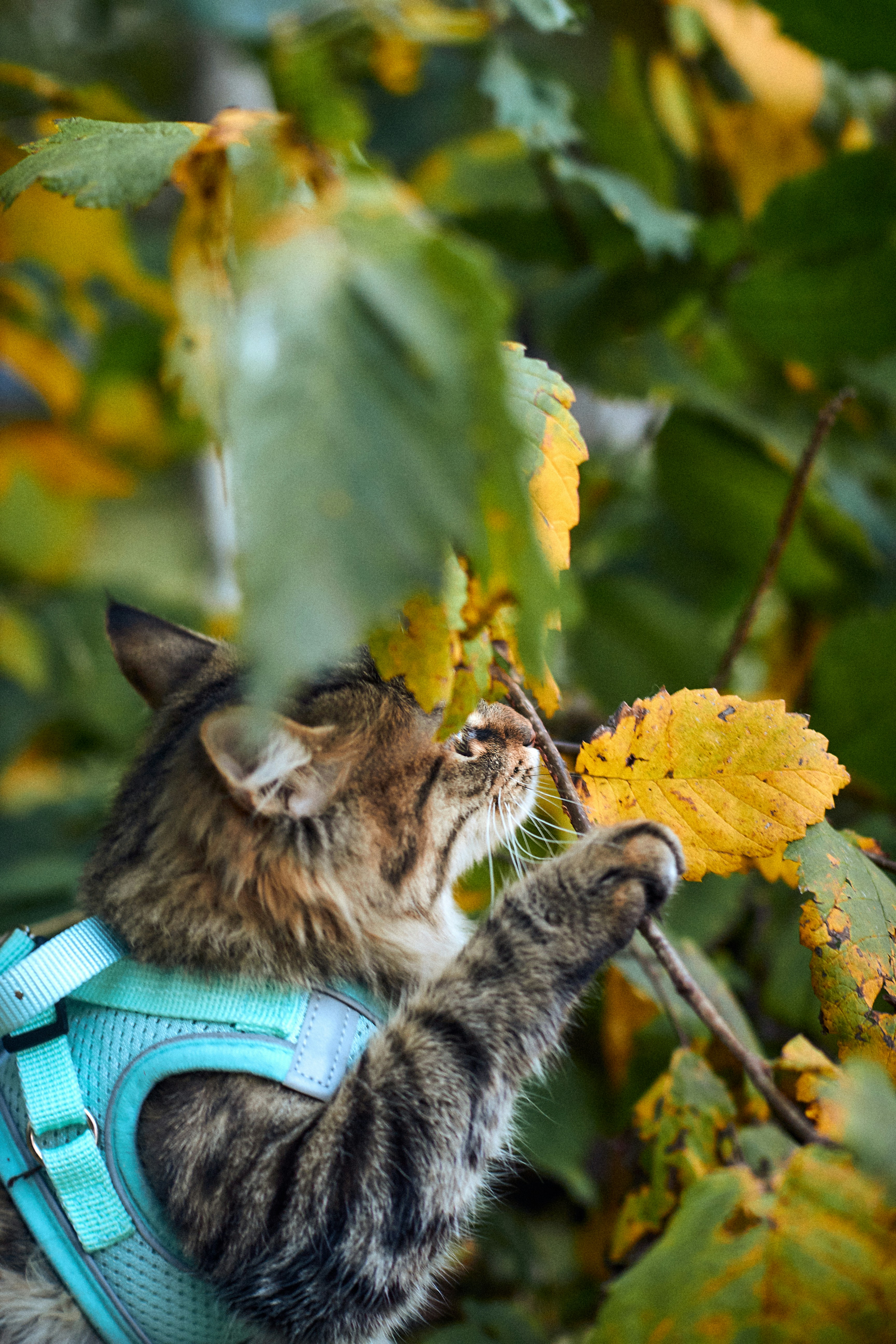 Photo by Dana Sarsenbekova with Canon EOS 600D