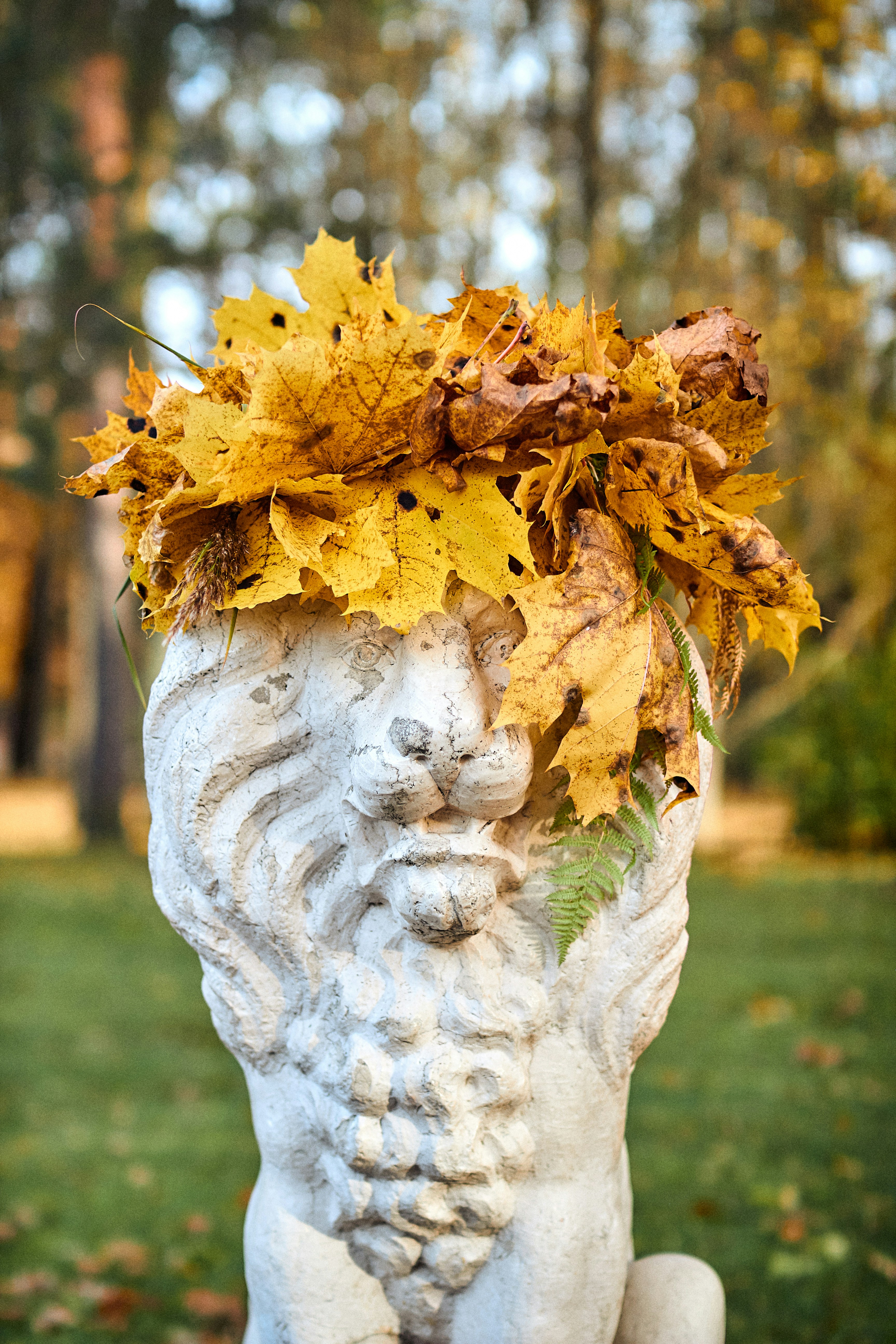 Autumn Crown on a Stone Bust: Leaves in Quiet Garden