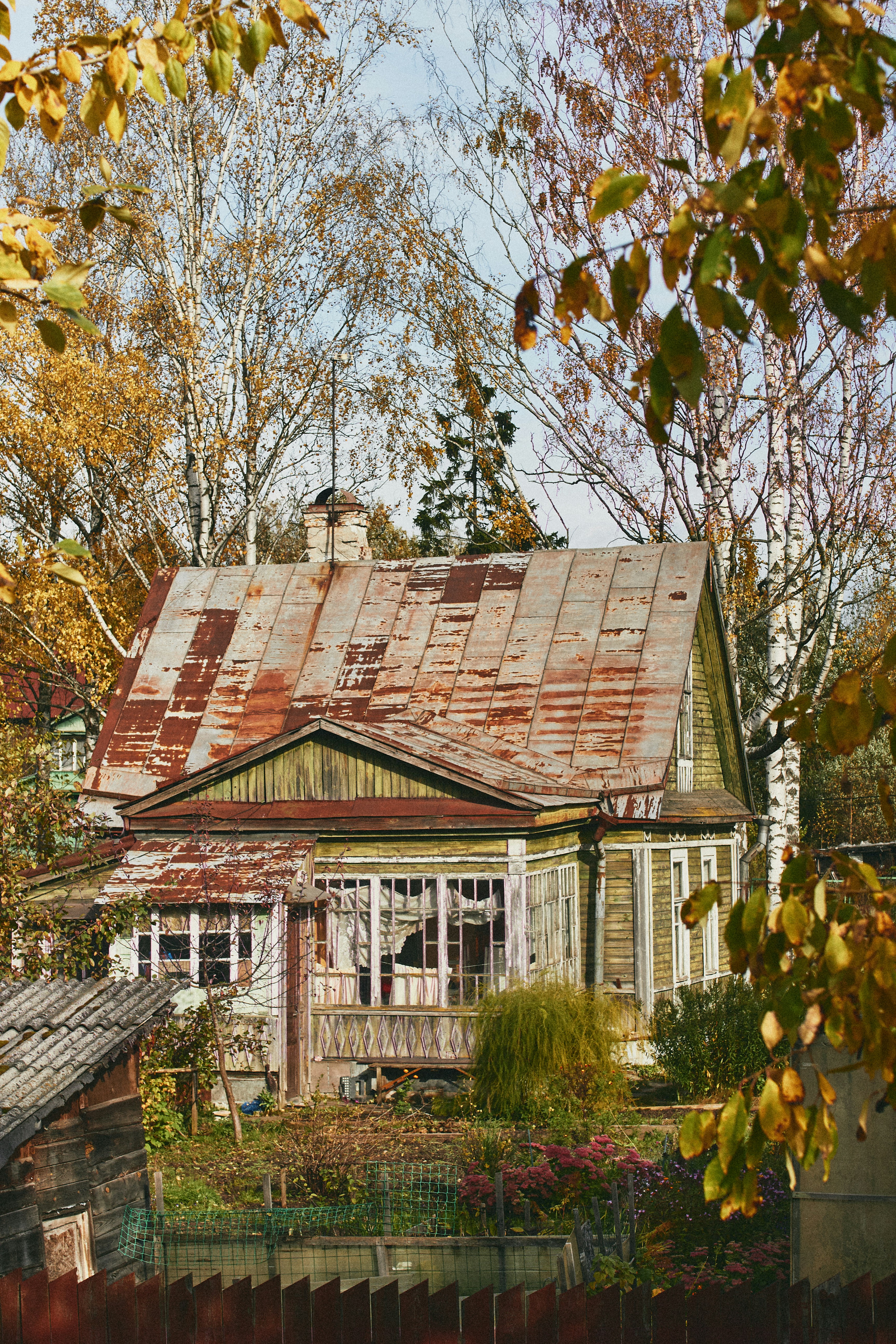 Photo by Dana Sarsenbekova with Canon EOS 600D