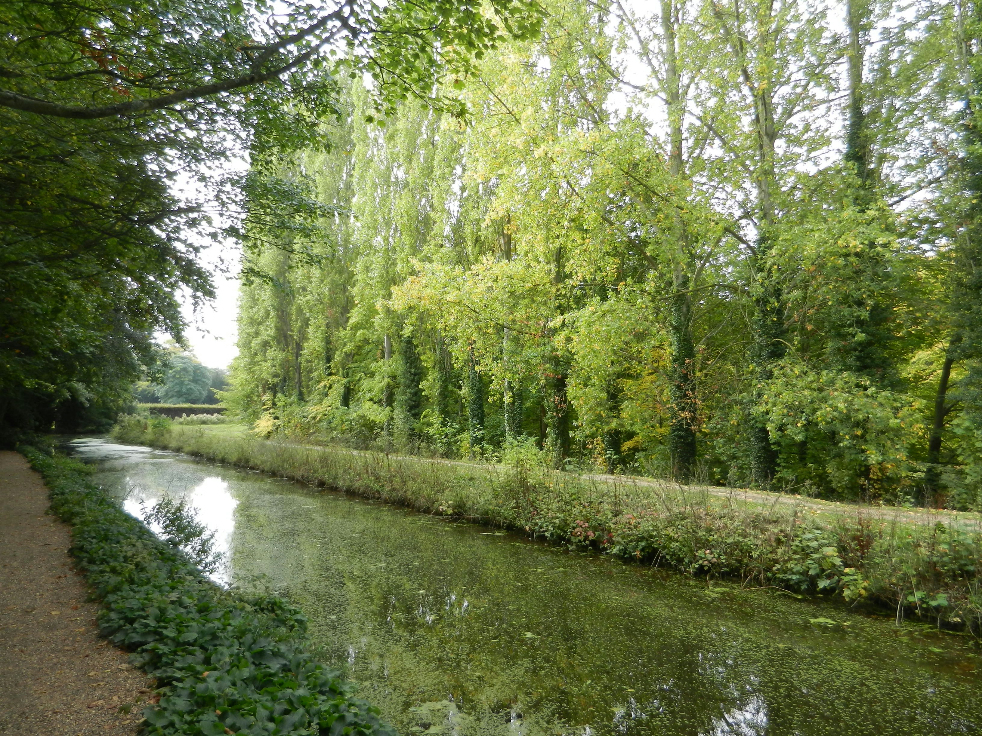 The mill race at the Lode Mill, Anglesey Abbey | a river with trees on the side