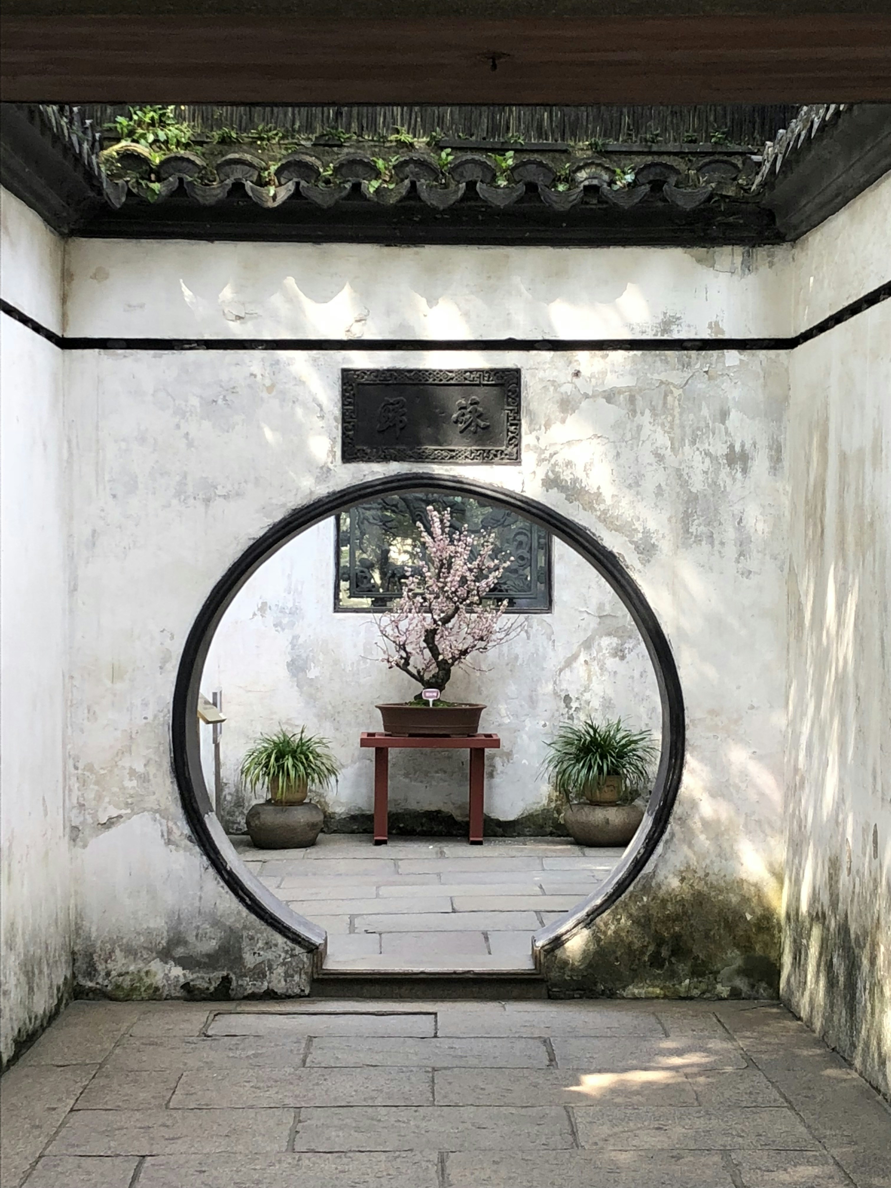 Circular doorway leading to a tranquil interior space adorned with a flowering plant and decorative elements. A blend of natural beauty and architectural simplicity.