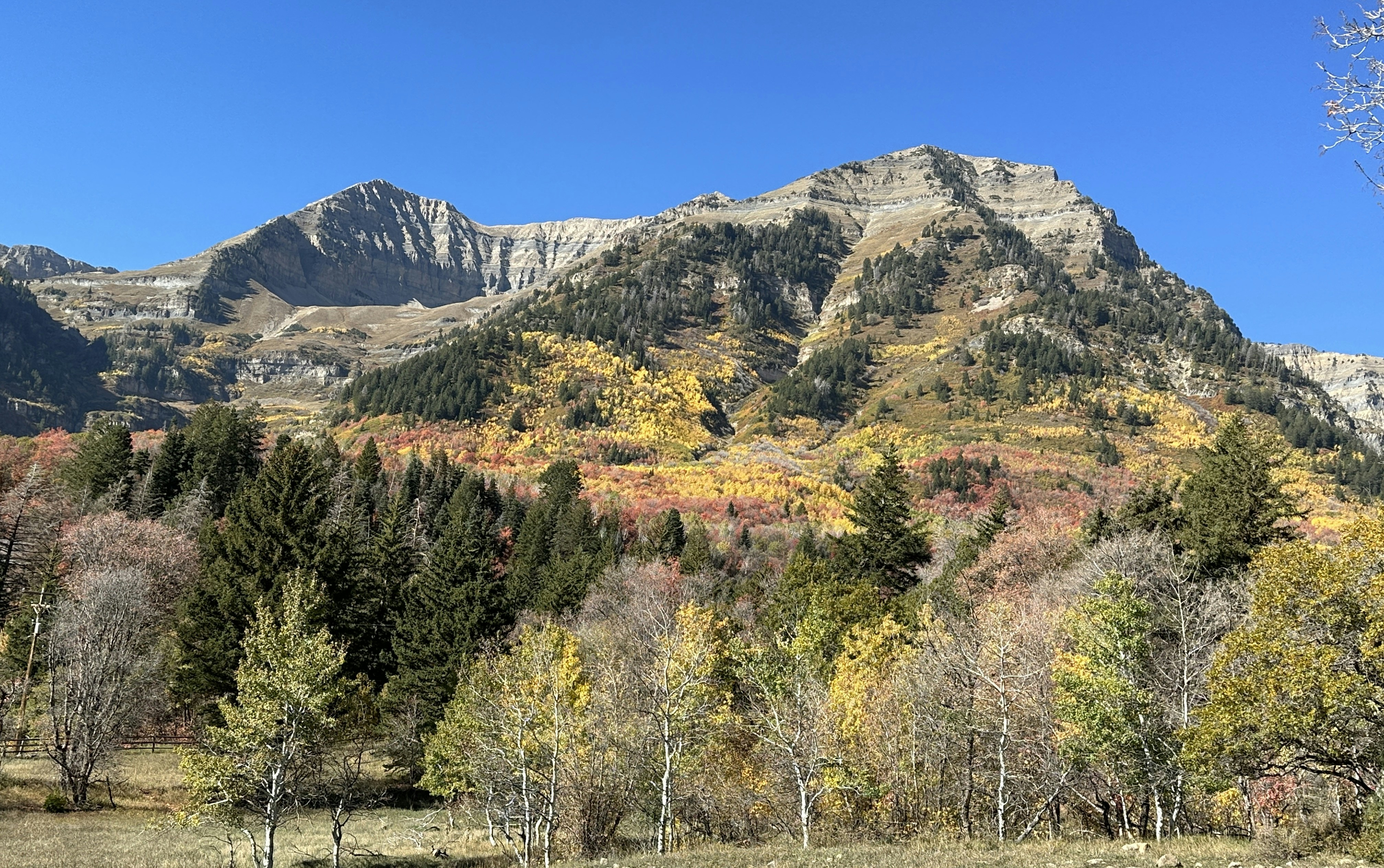 Autumn Palette Against Mountain Majesty