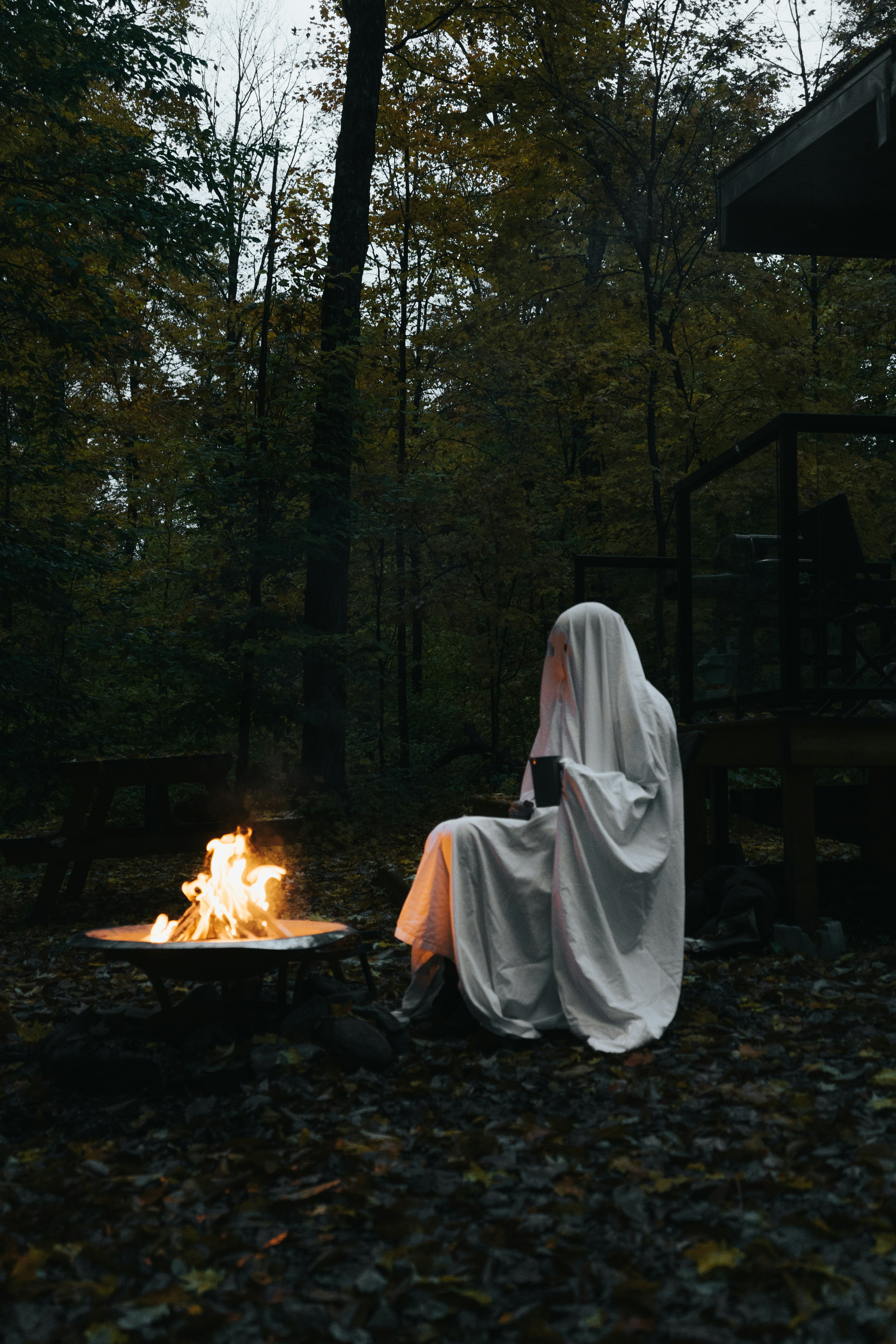 A person in a white robe sitting by a fire in a forest photo – Free ...