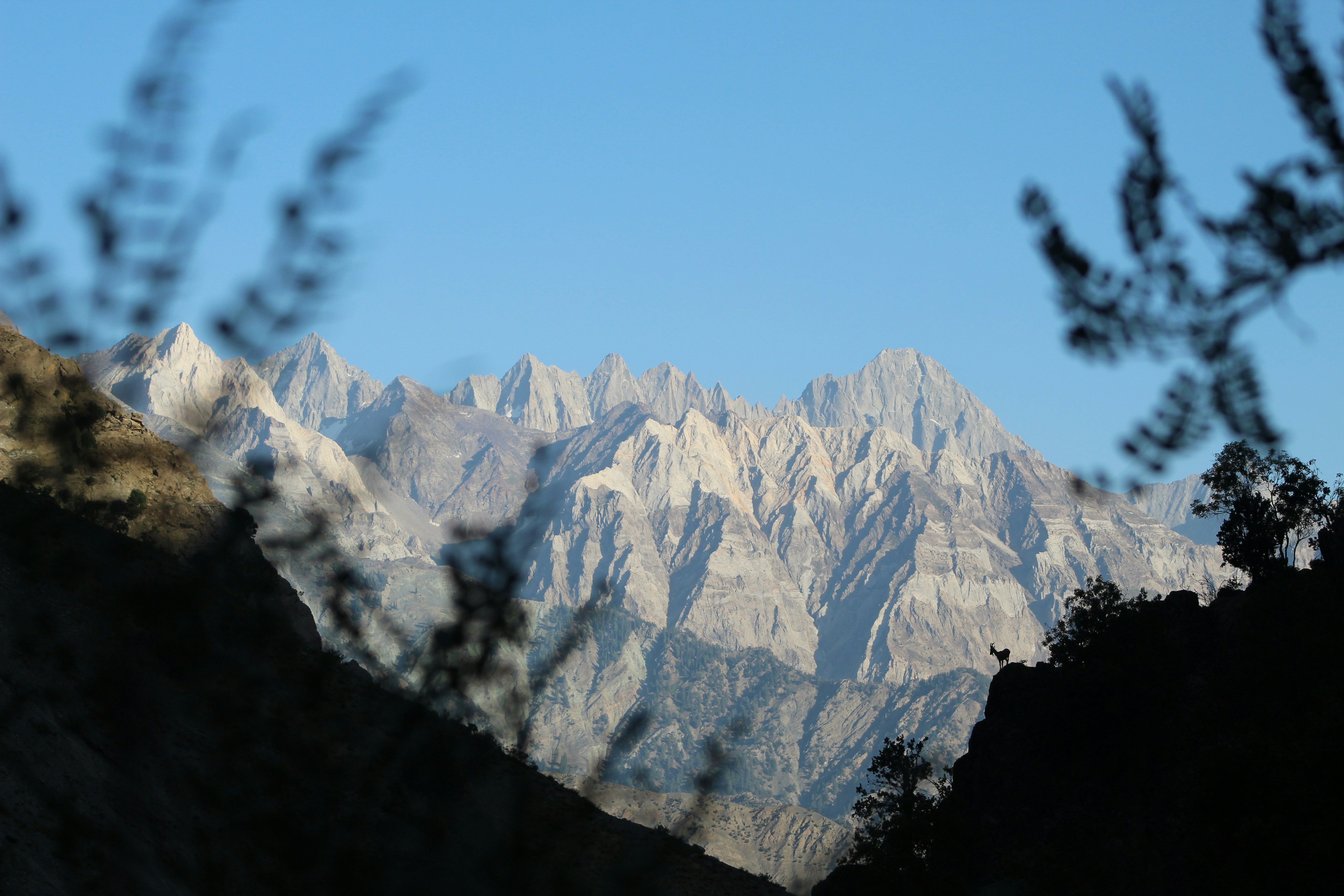 A snowy mountain with trees photo – Free Chitral gol national park ...